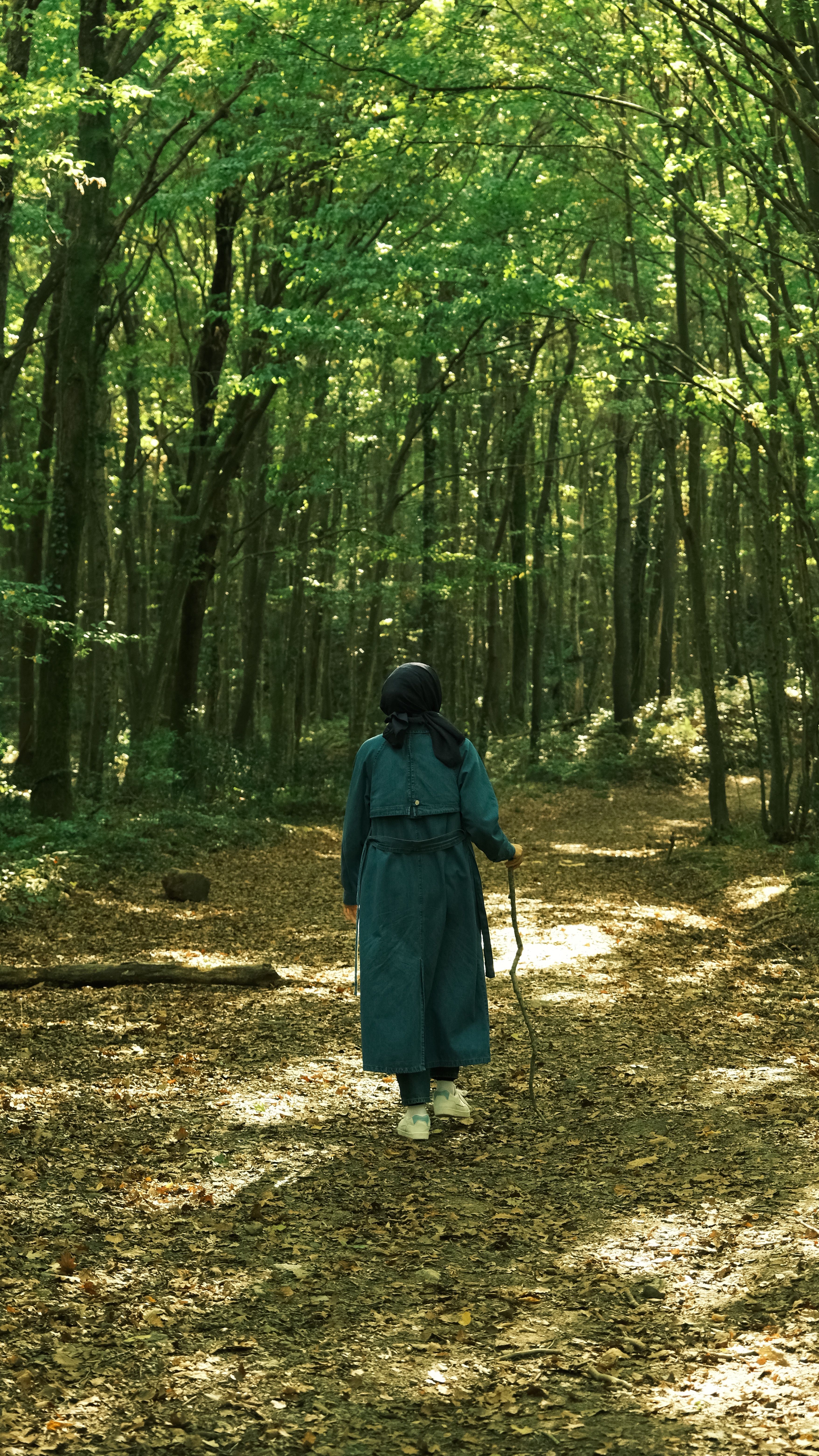 Female Hiker Exploring a Forest Trail in Autumn · Free Stock Photo