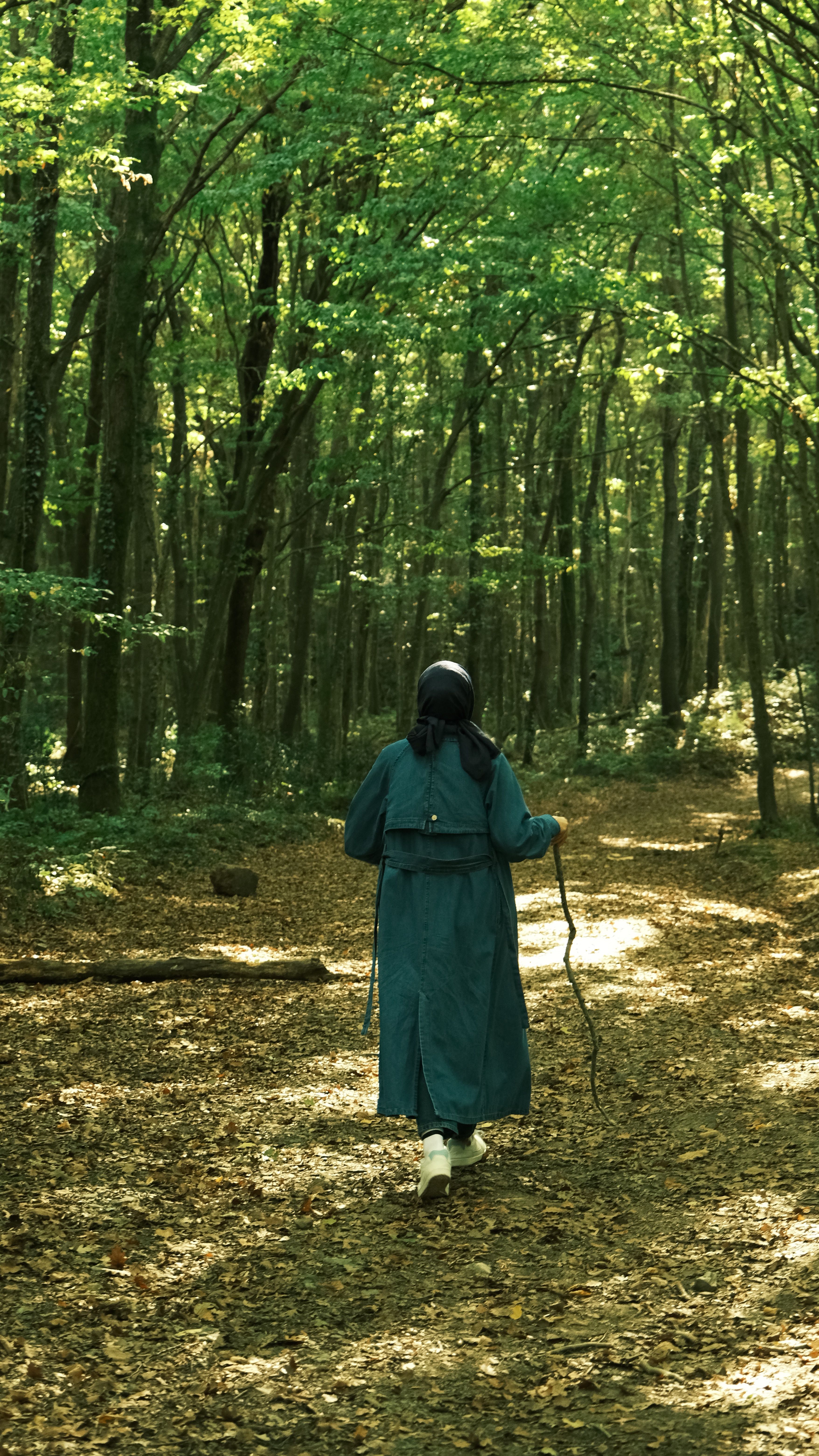 Person Walking Alone in Serene Forest Pathway · Free Stock Photo