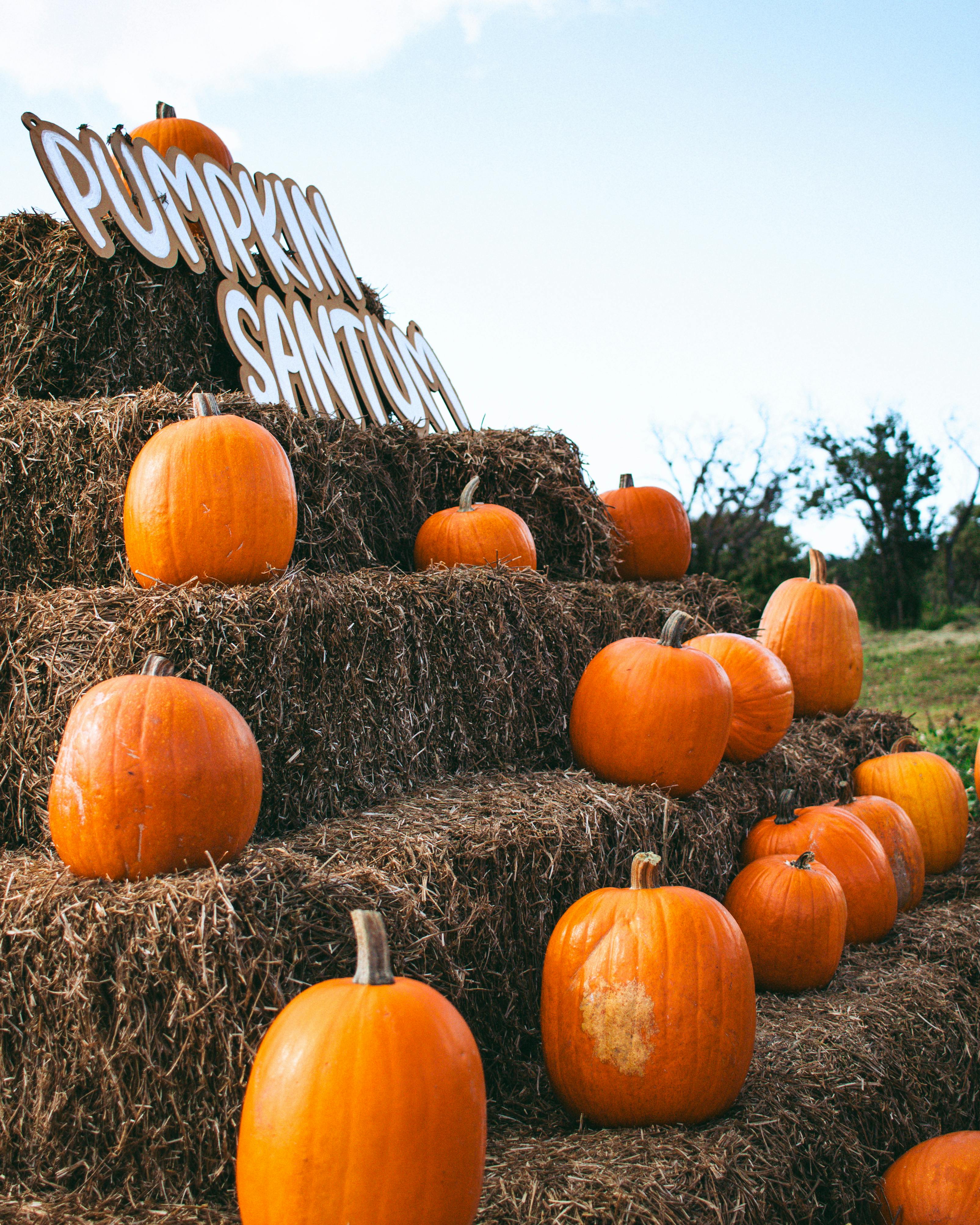 Pyramid of Pumpkins on Straw Bales for Fall Festival · Free Stock Photo