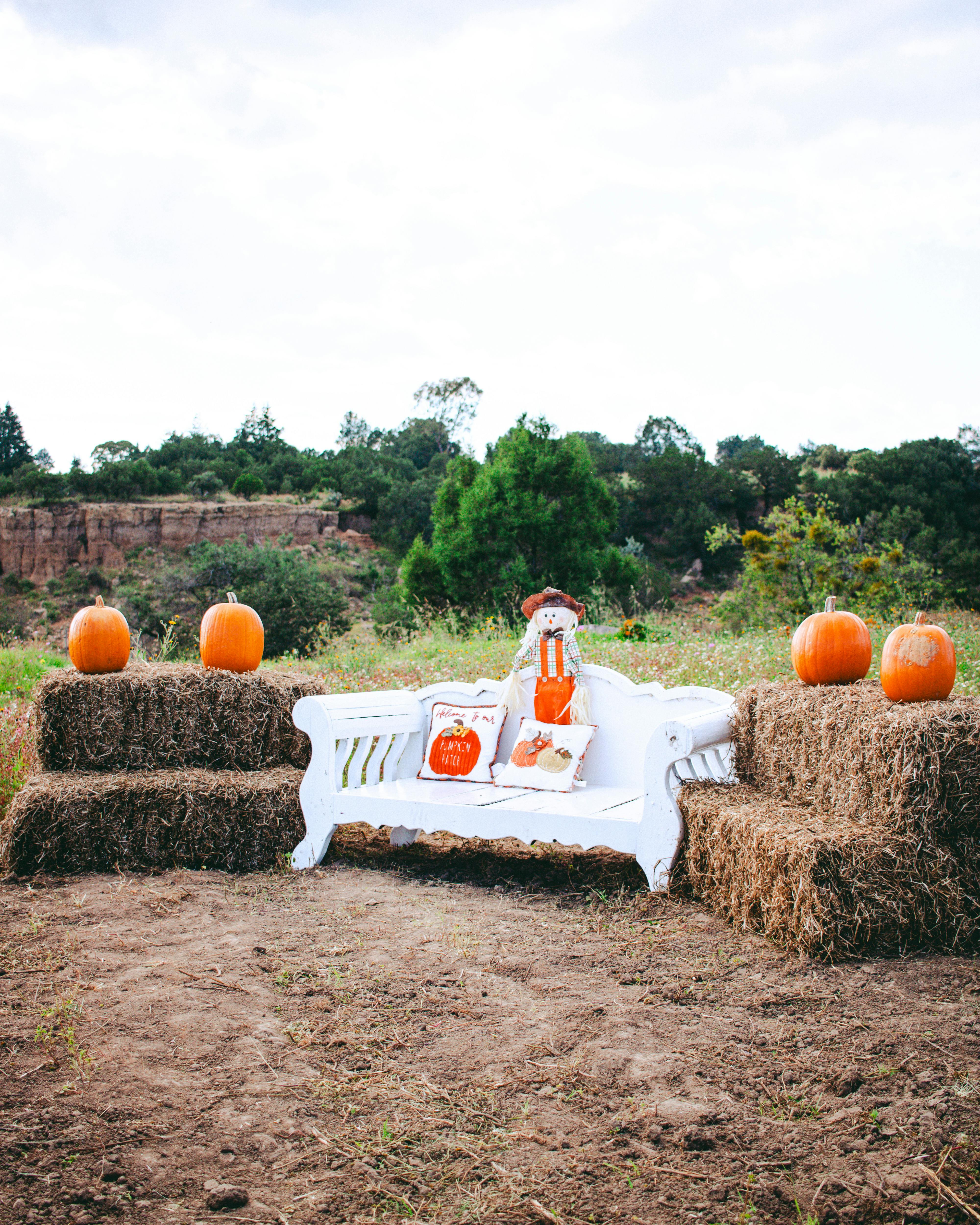 Autumn Harvest Scene with Pumpkins and Hay Bales · Free Stock Photo