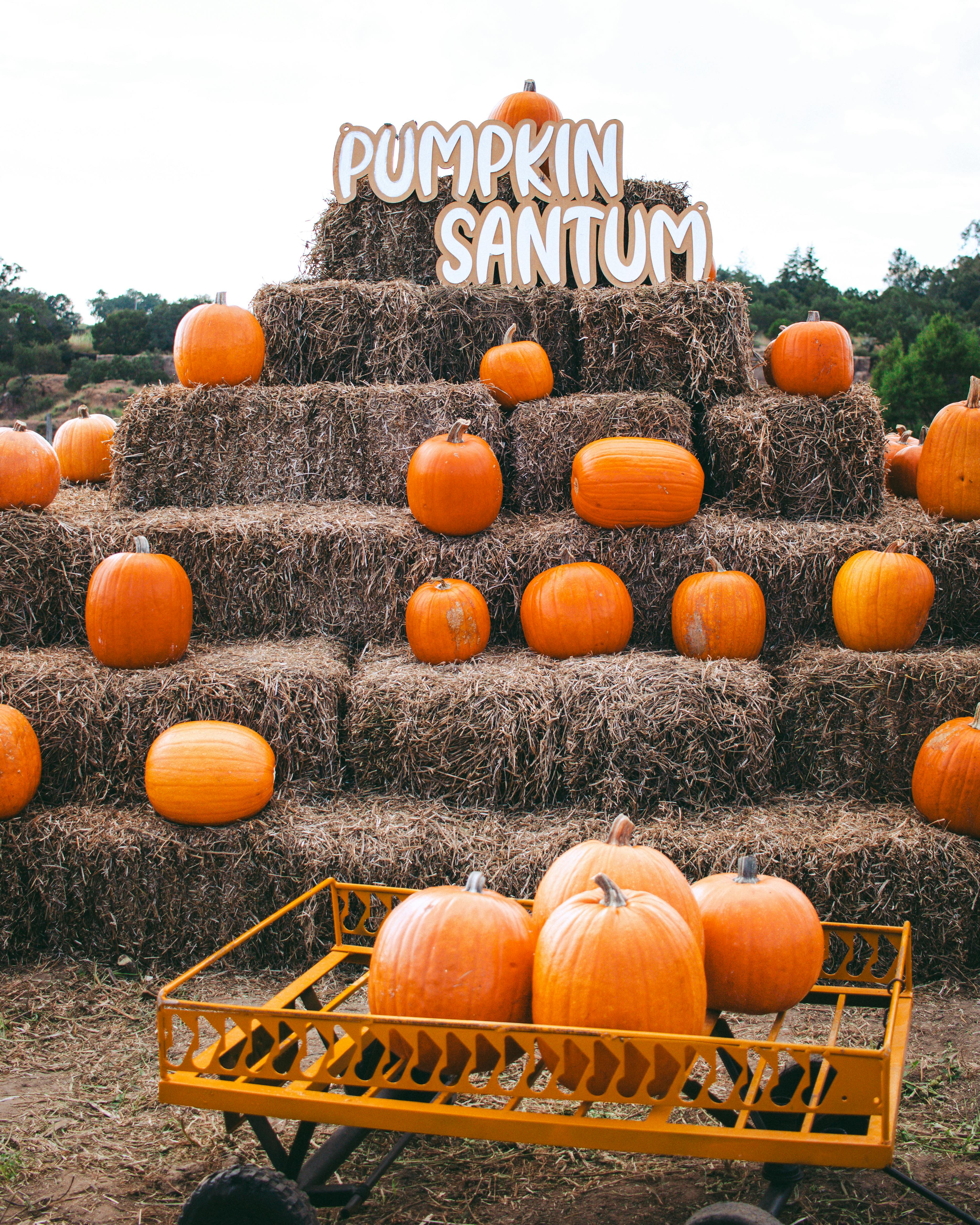 Pumpkin Display with Hay Bales for Fall Festival · Free Stock Photo