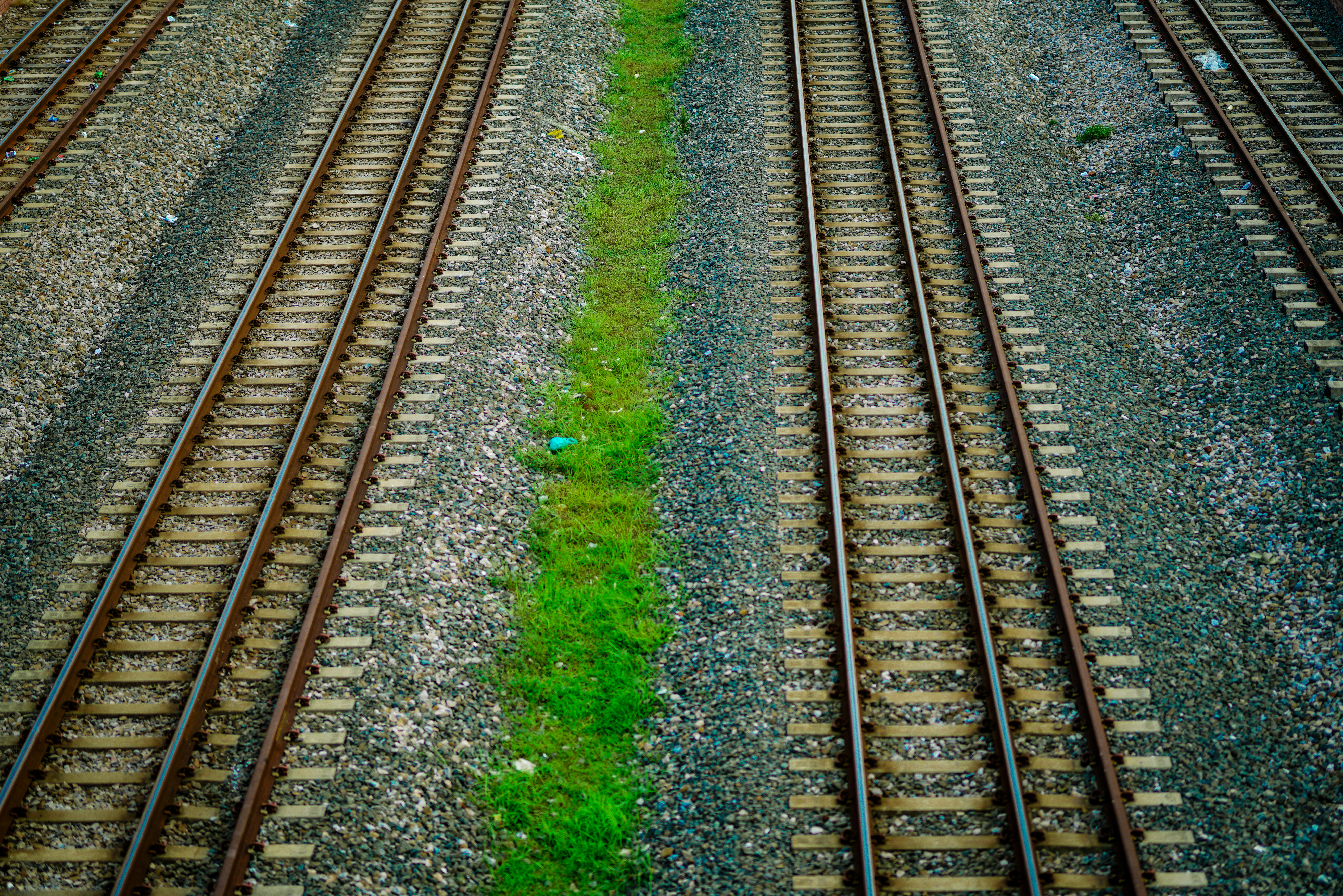 Rustic Railway Tracks in Green Landscape · Free Stock Photo