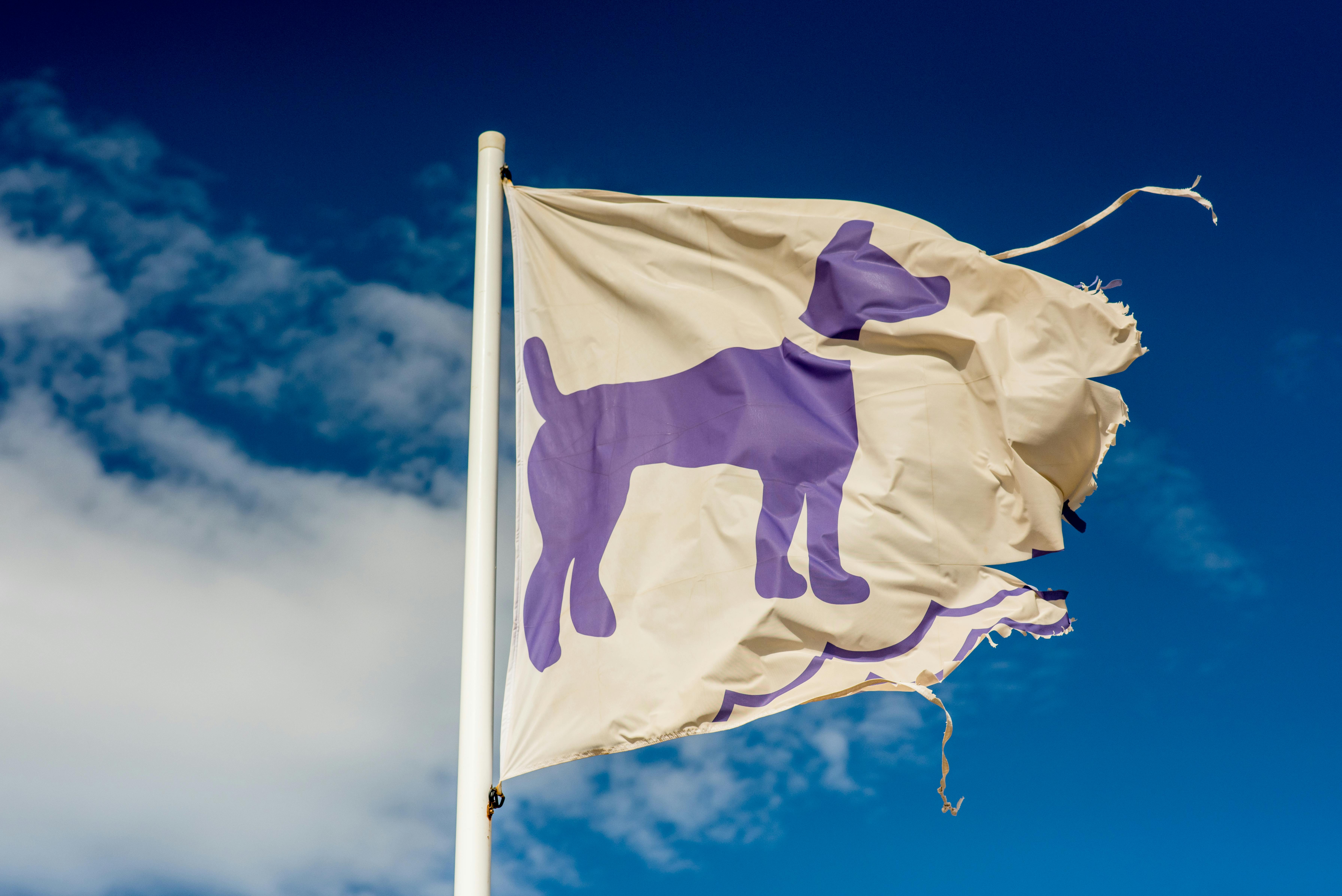 Tattered Dog Flag Against Blue Sky · Free Stock Photo