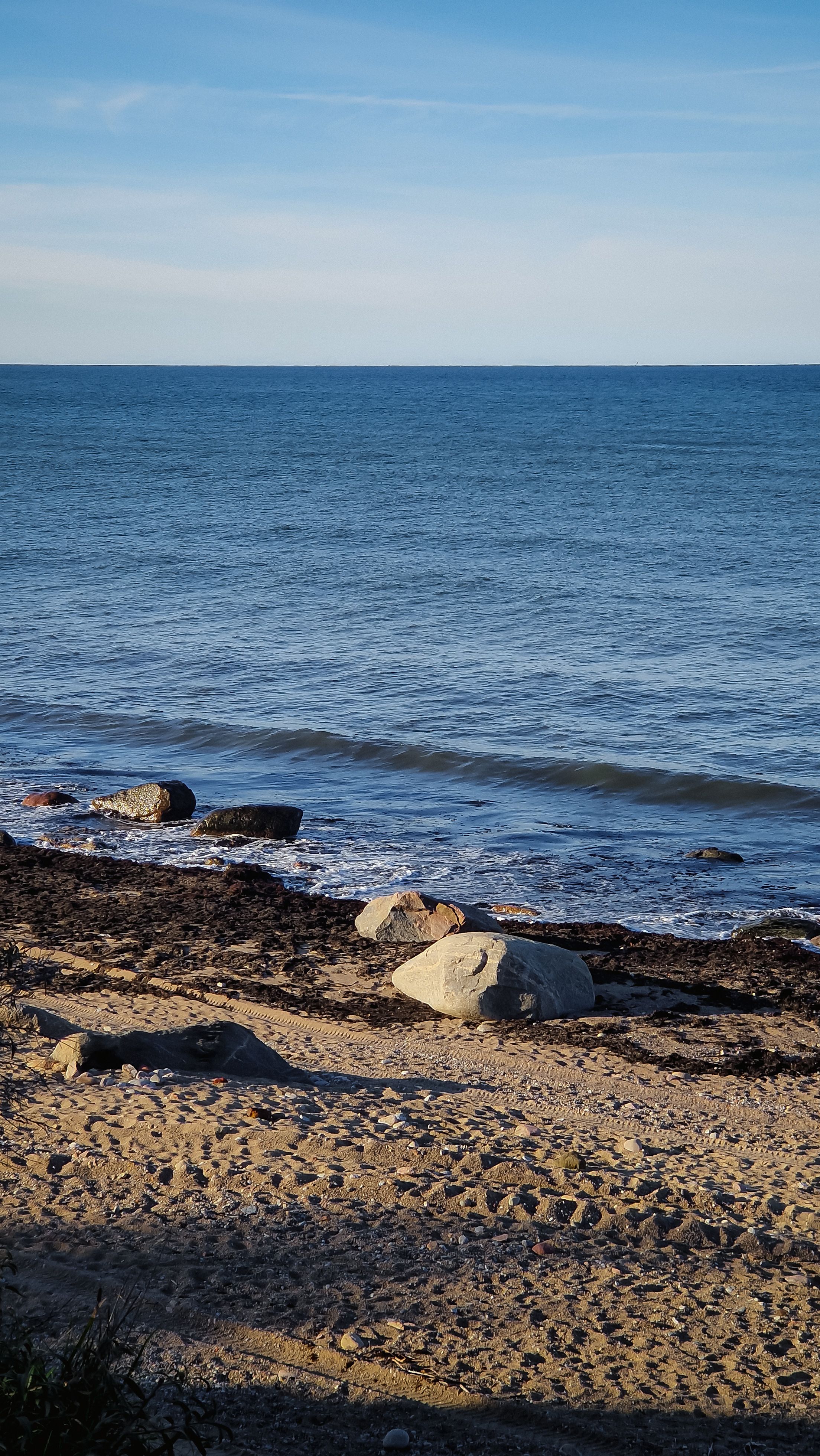 Serene Coastal Beach with Calm Waves · Free Stock Photo
