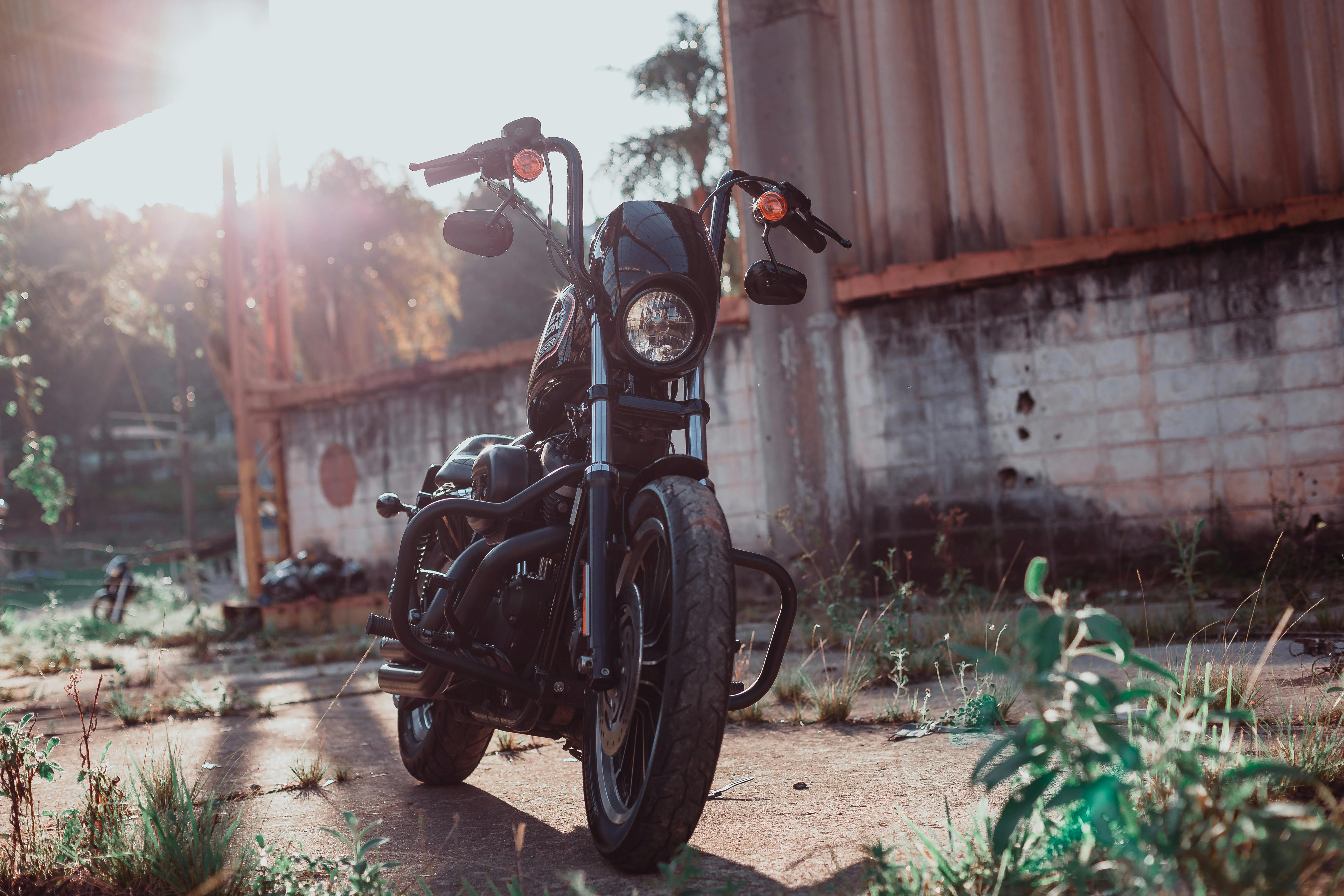 Harley Davidson Motorcycle in Rustic Setting · Free Stock Photo