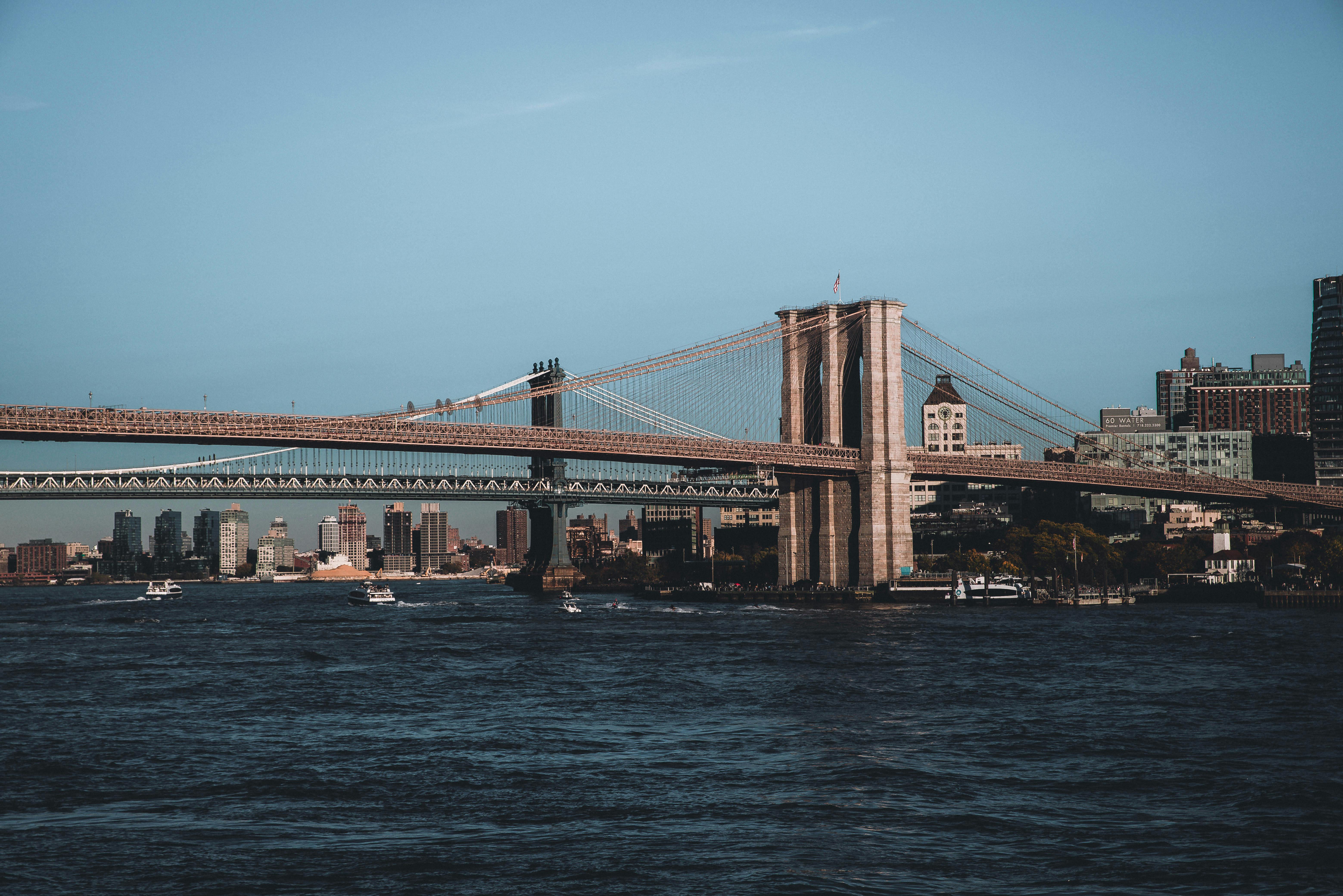 Alice Bridges Photos, Download The BEST Free Alice Bridges Stock Photos ...