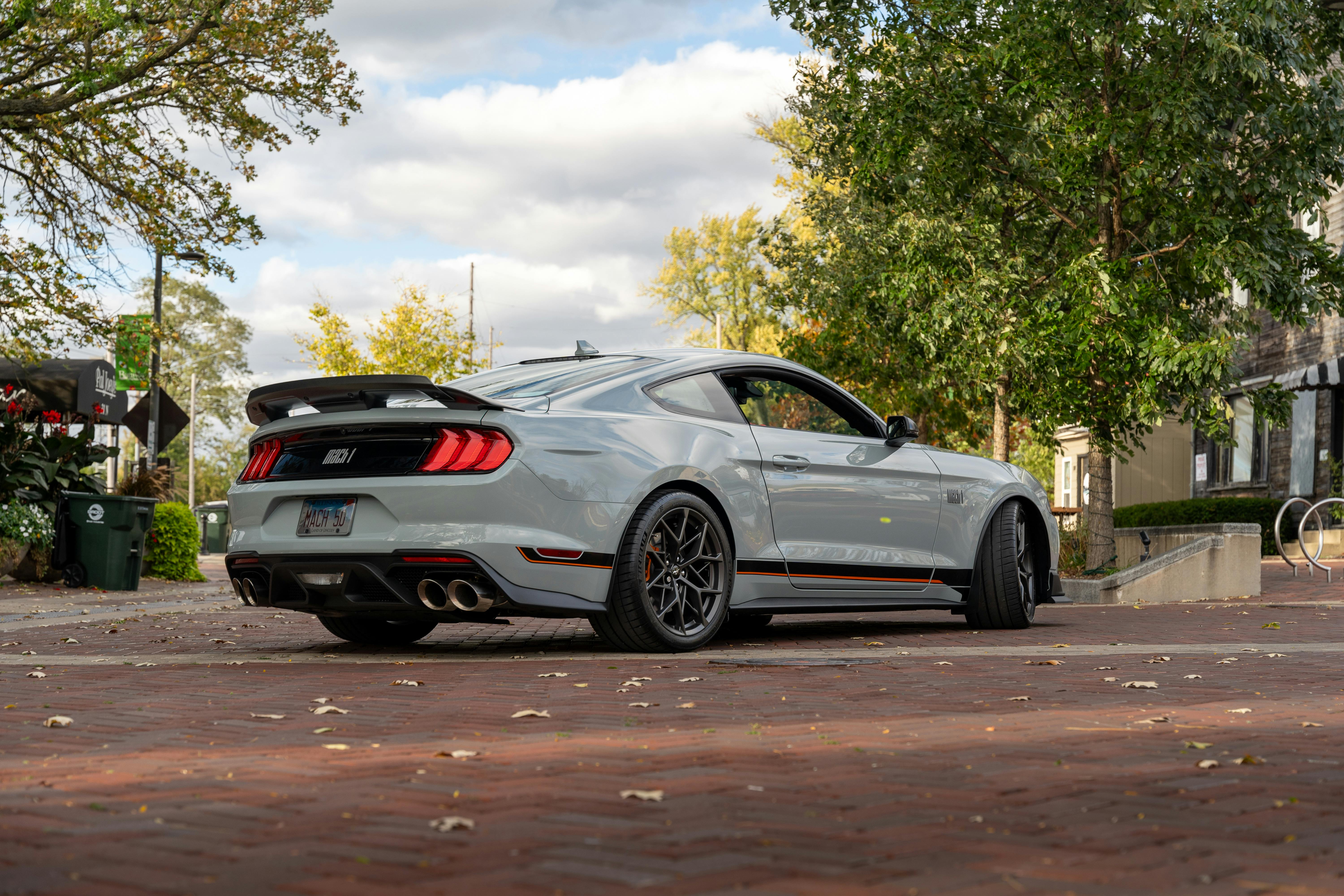 Fysisk Ford Gras Photos, Download The BEST Free Fysisk Ford Gras Stock ...