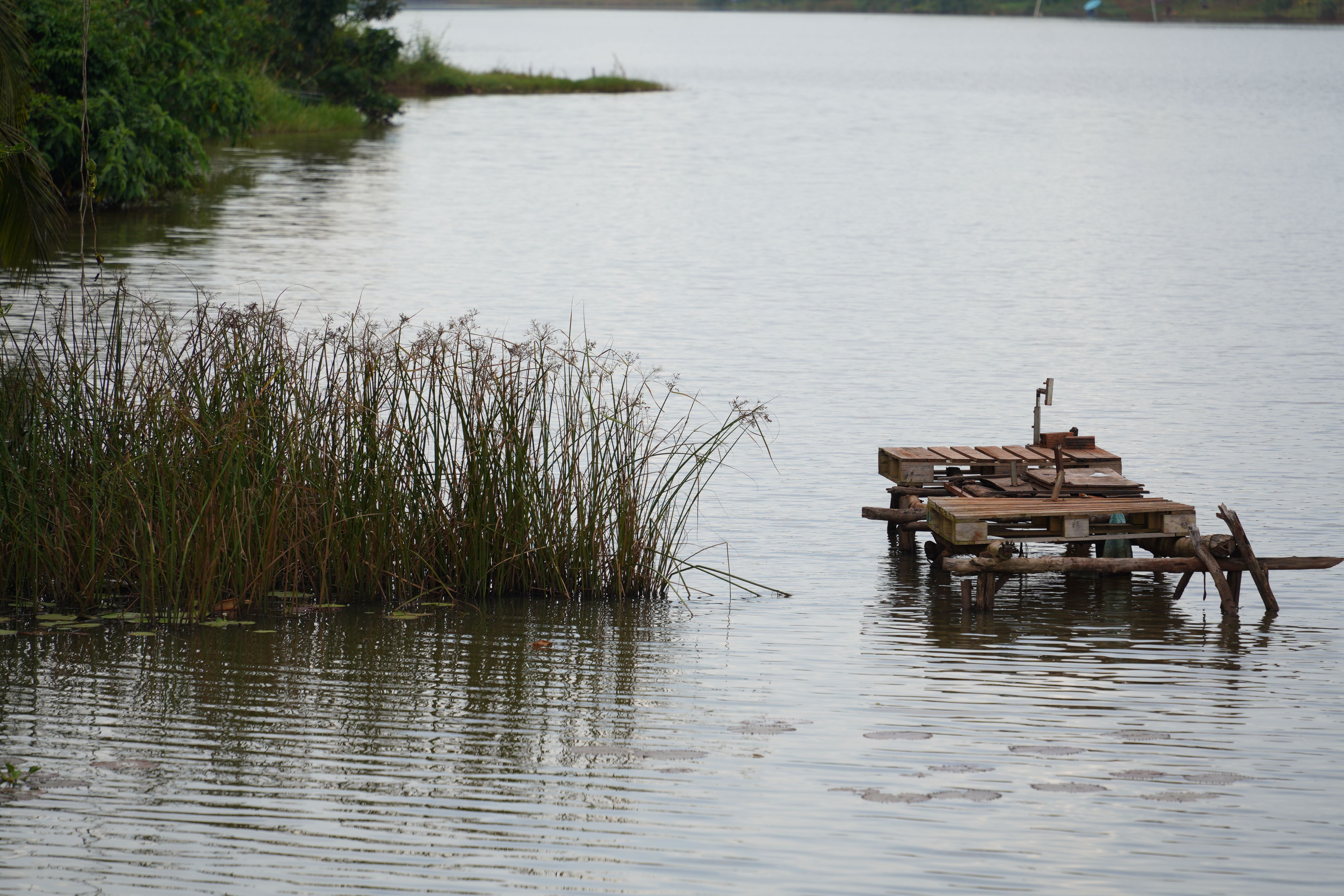Rustic Wooden Raft on Serene Lakeside · Free Stock Photo