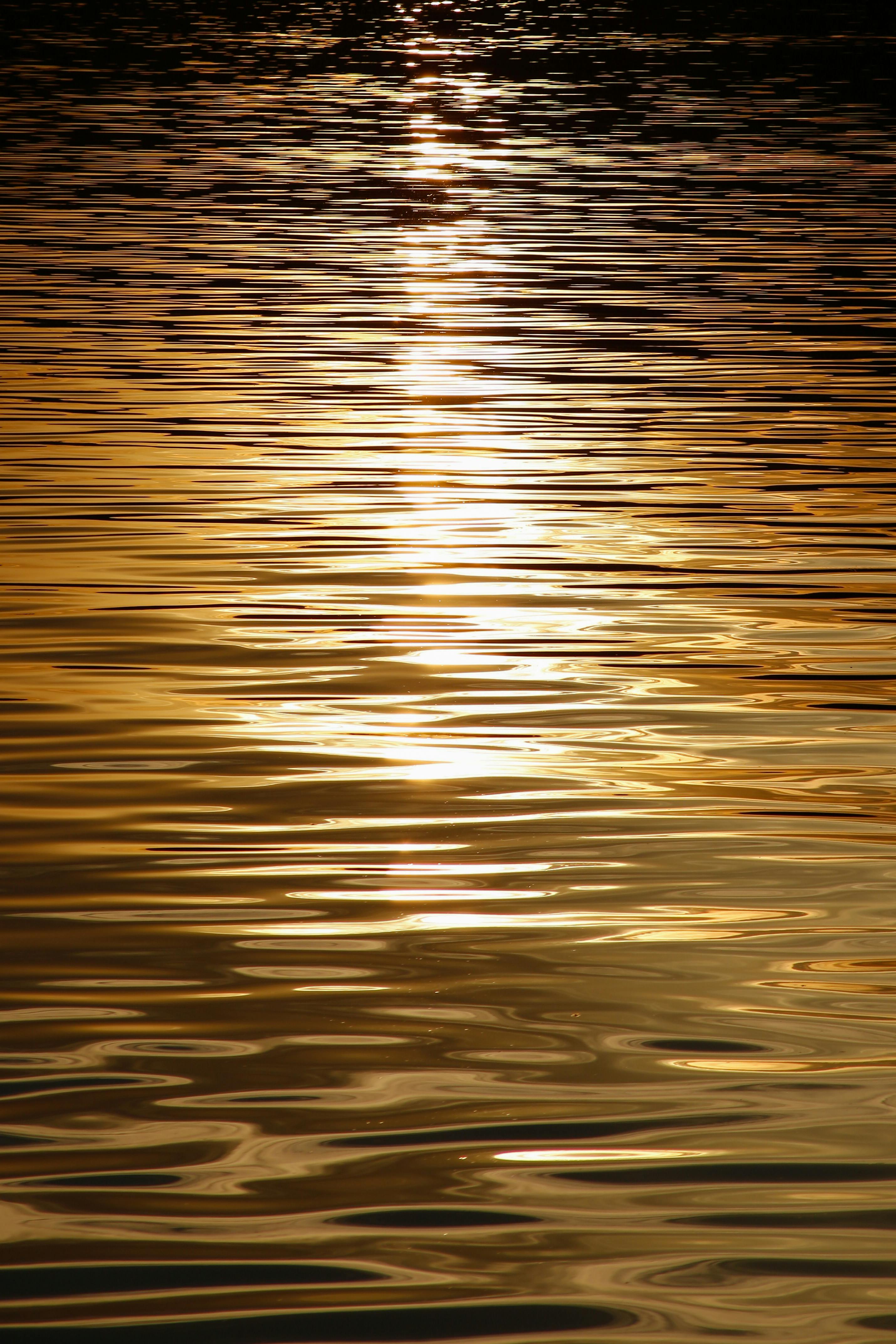 Golden Sun Reflection on Rippled Water Surface · Free Stock Photo