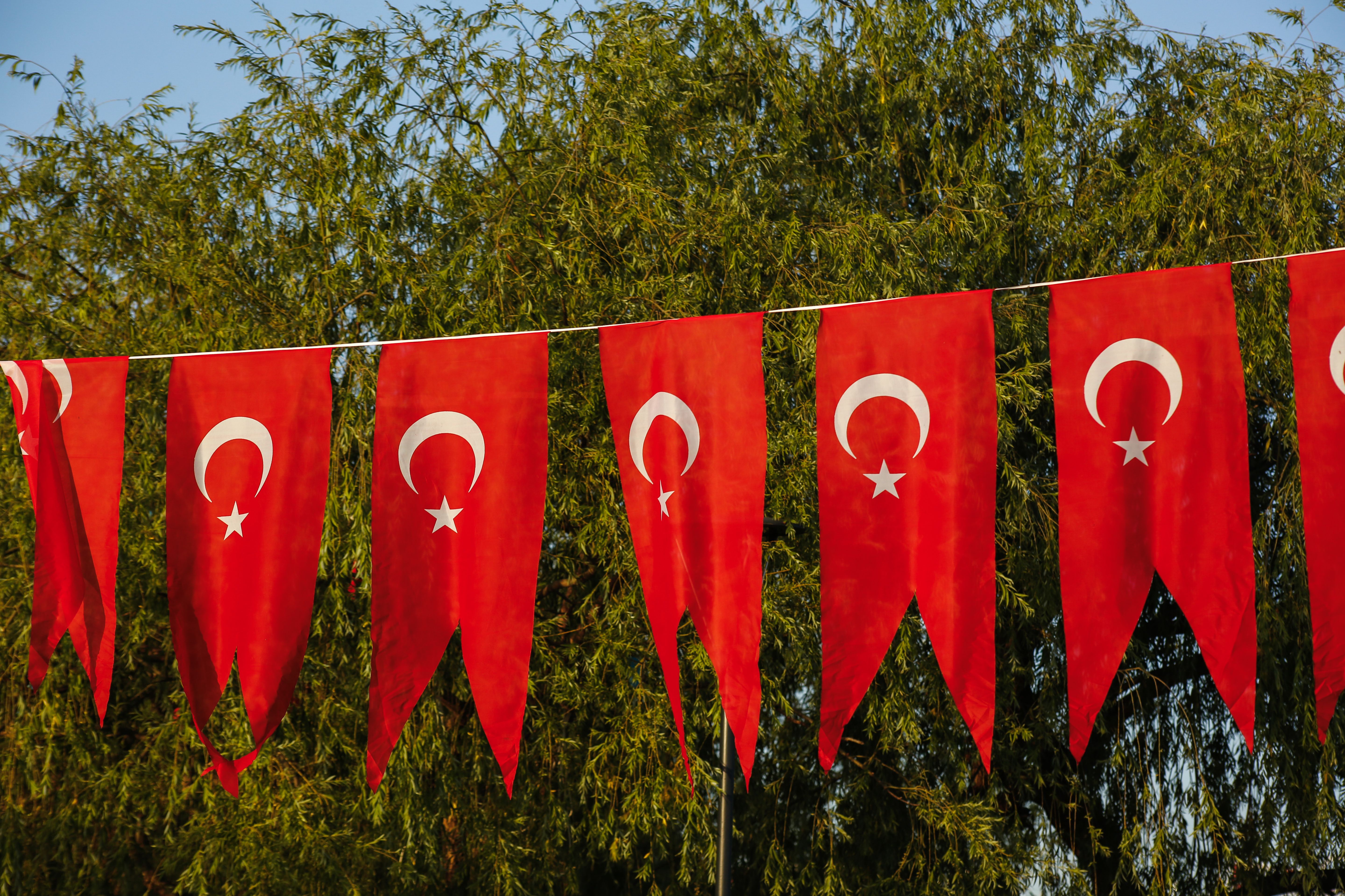 Turkish Flags Against Green Foliage in Daylight · Free Stock Photo