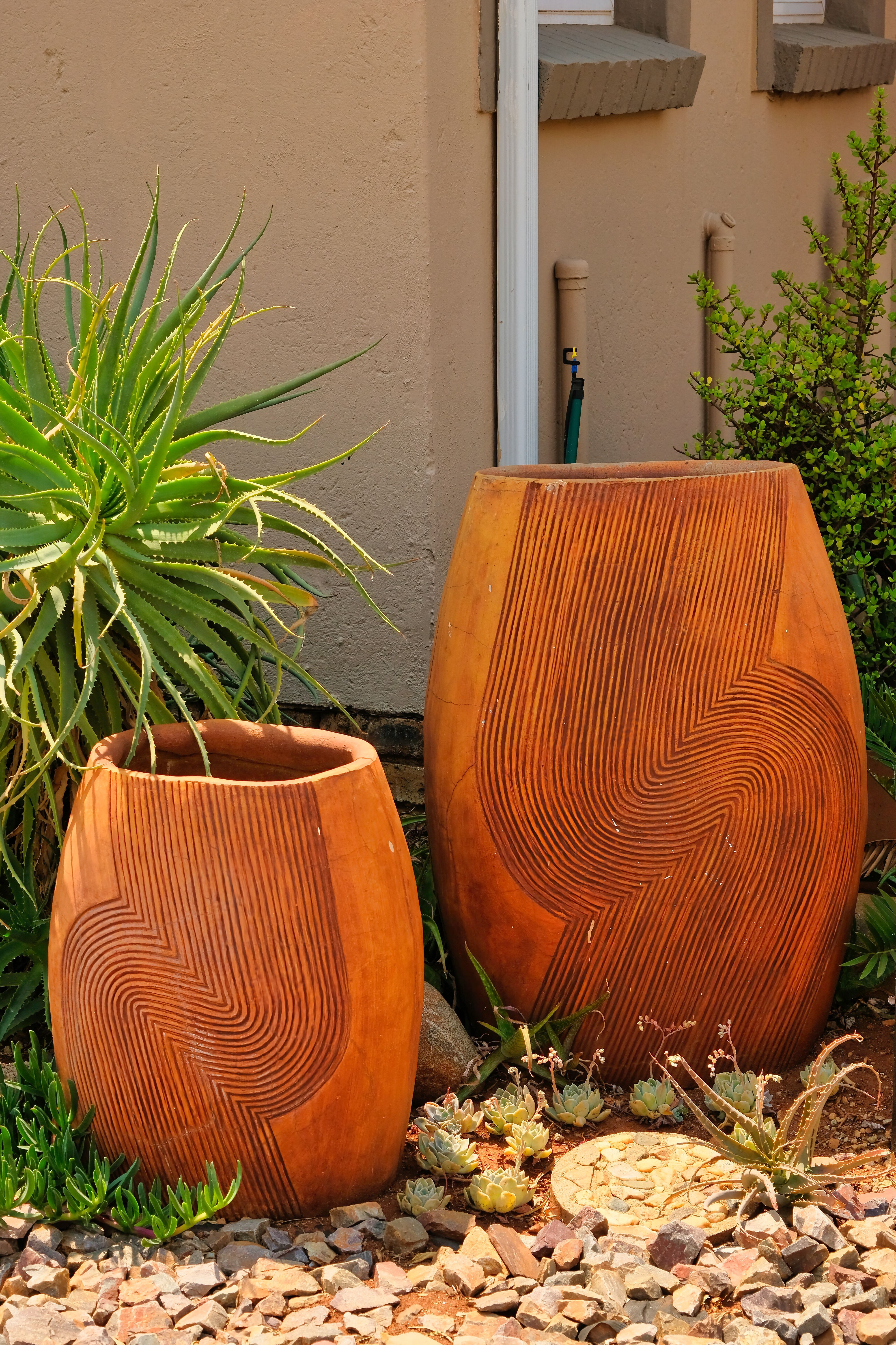 Stylish Terracotta Pots in a Desert Garden · Free Stock Photo