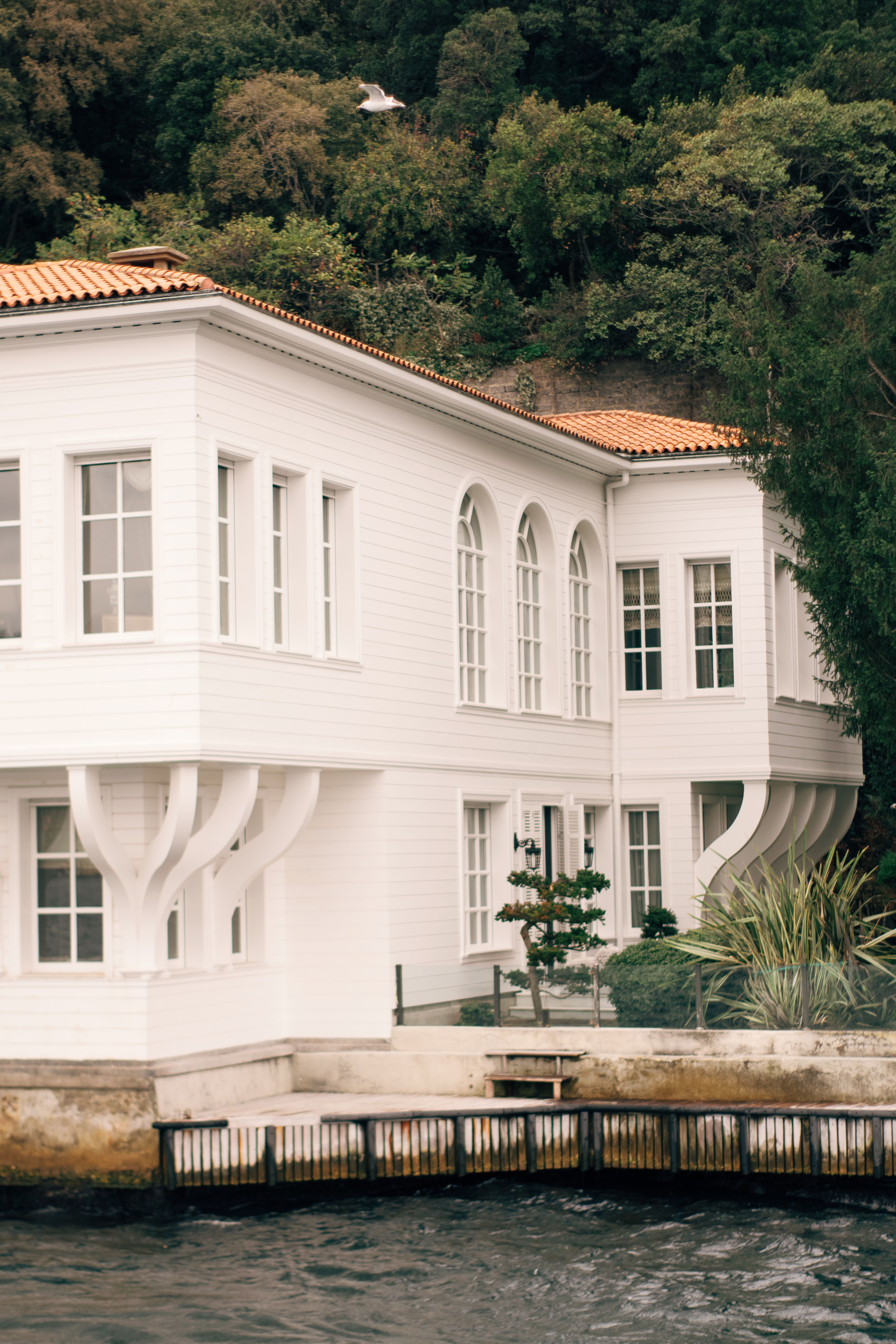 Elegant White Waterfront House by Lush Hillside · Free Stock Photo