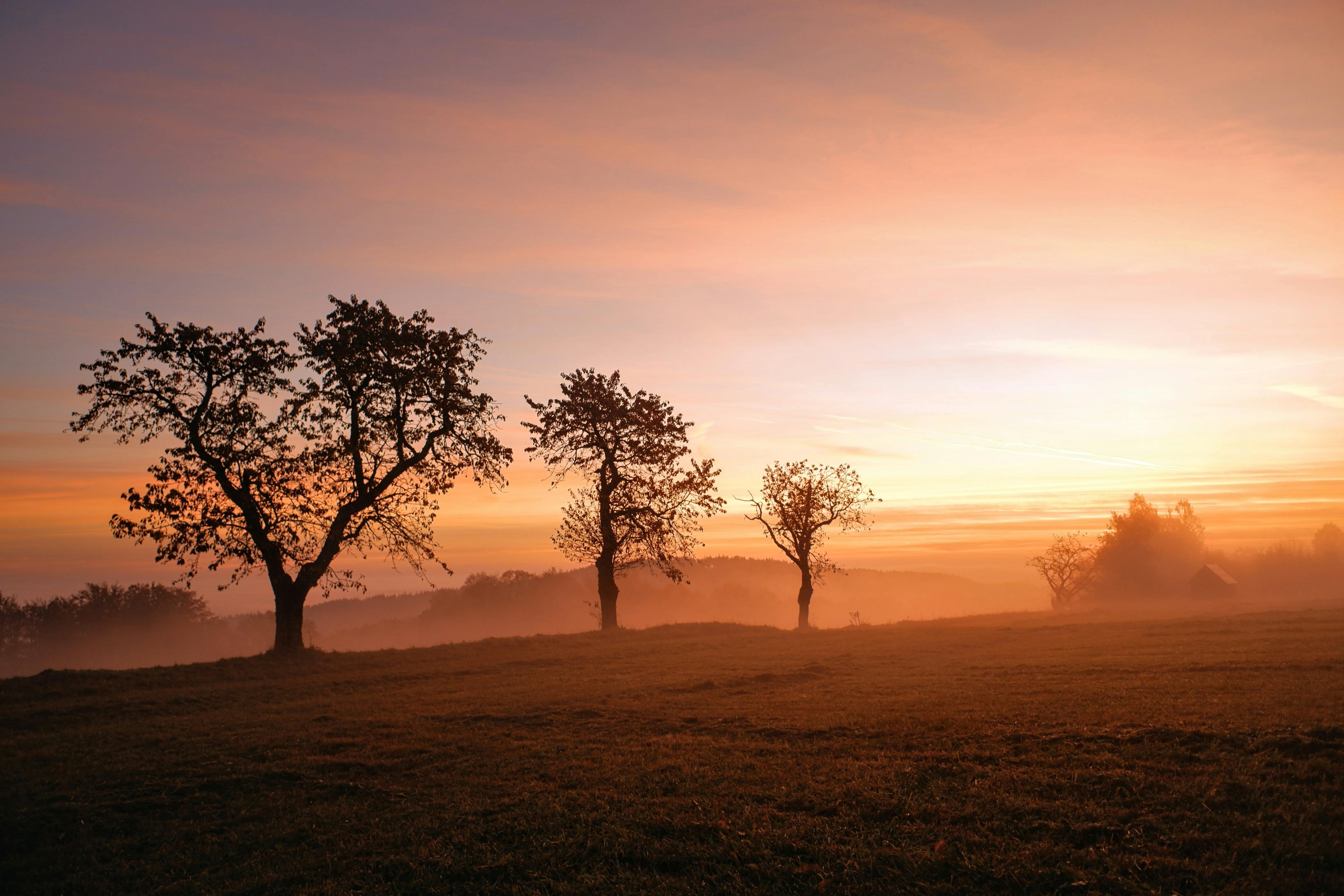 Lever De Soleil Serein Sur Un Paysage Brumeux · Photo gratuite