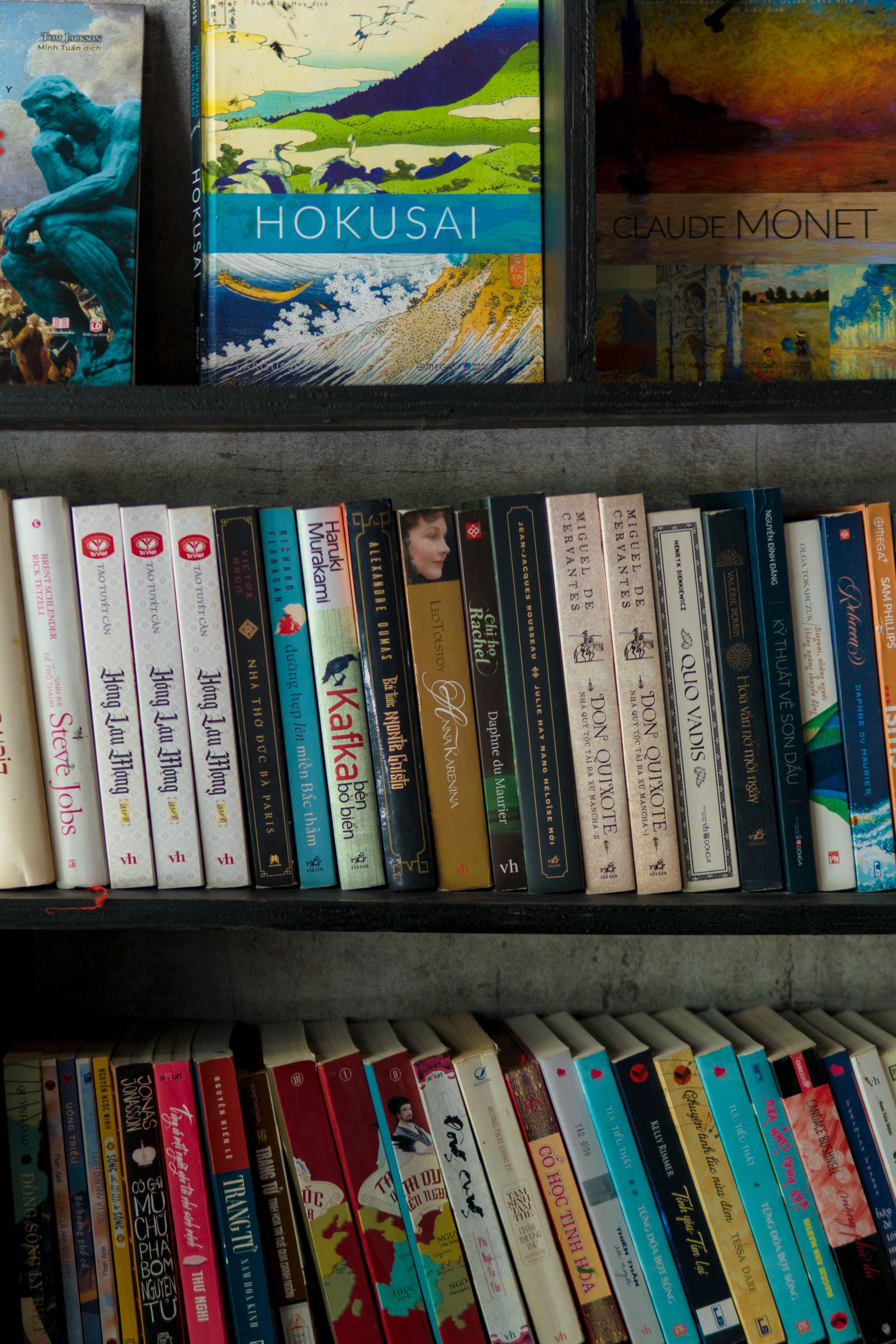 Colorful Bookshelf with Art and Literature Books · Free Stock Photo