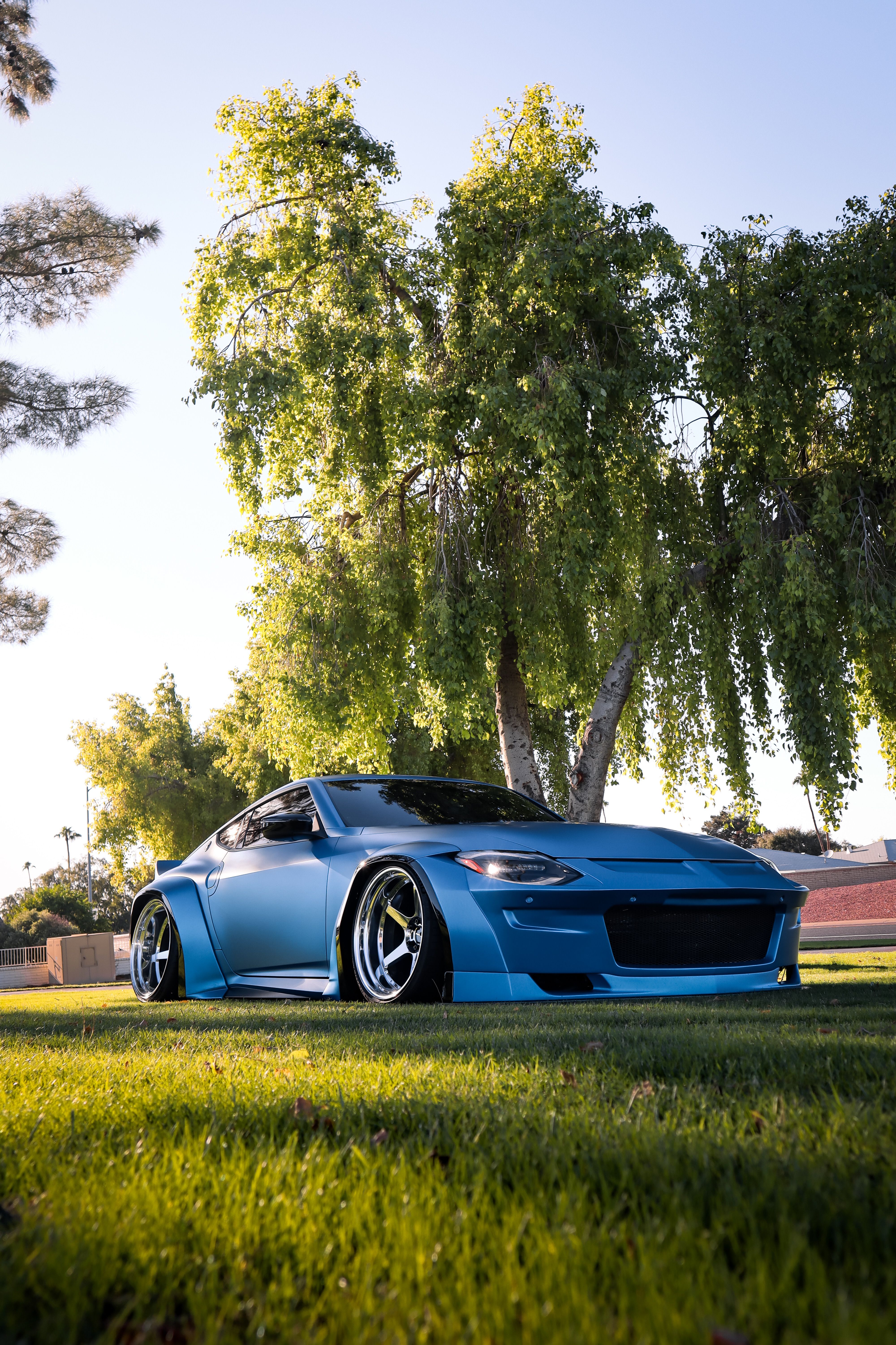 Sleek Blue Sports Car Parked Under Tree in Park · Free Stock Photo