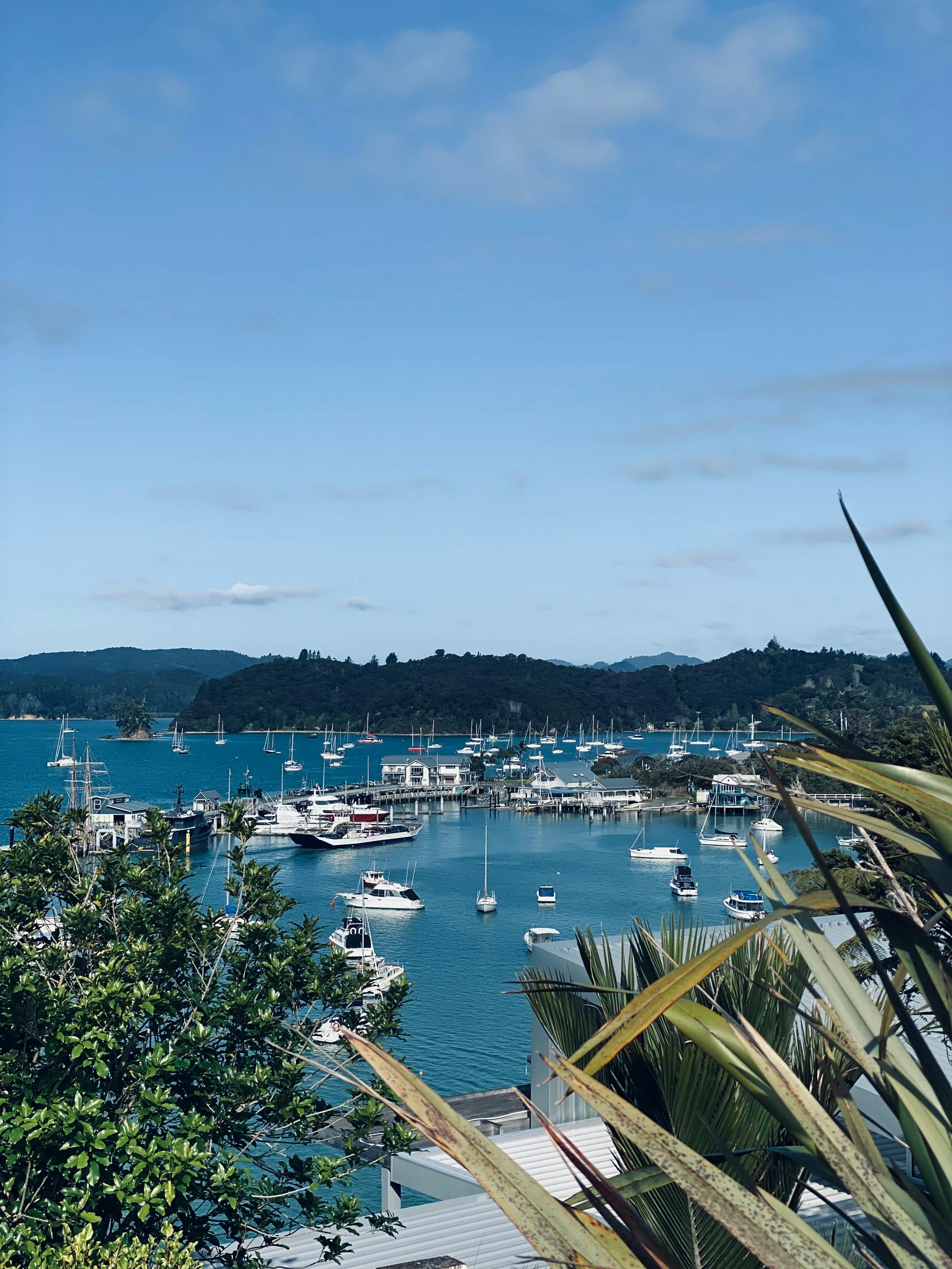 Beautiful Harbor Photos, Download The BEST Free Beautiful Harbor Stock ...