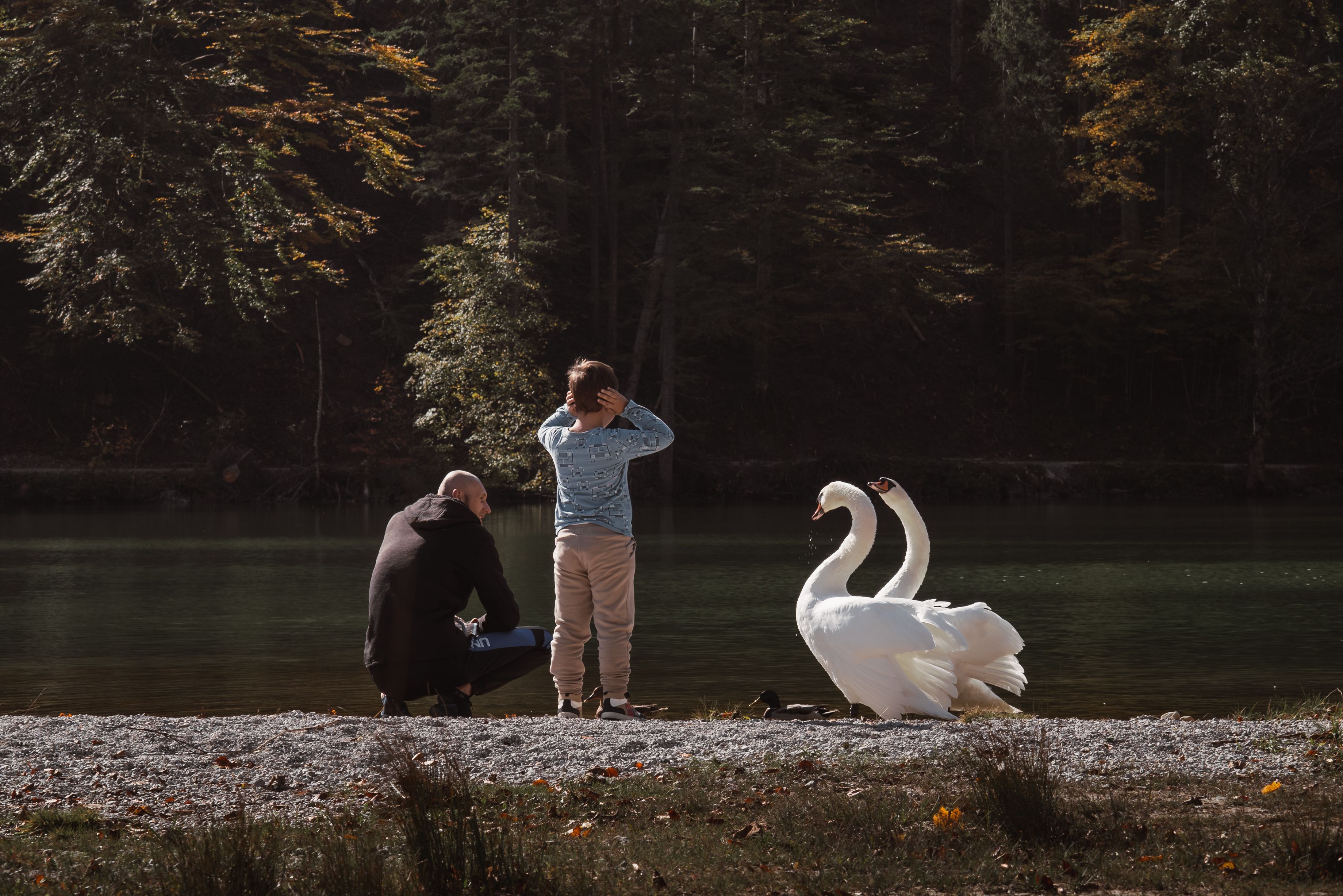 Interaction Photography Photos, Download The BEST Free Interaction ...
