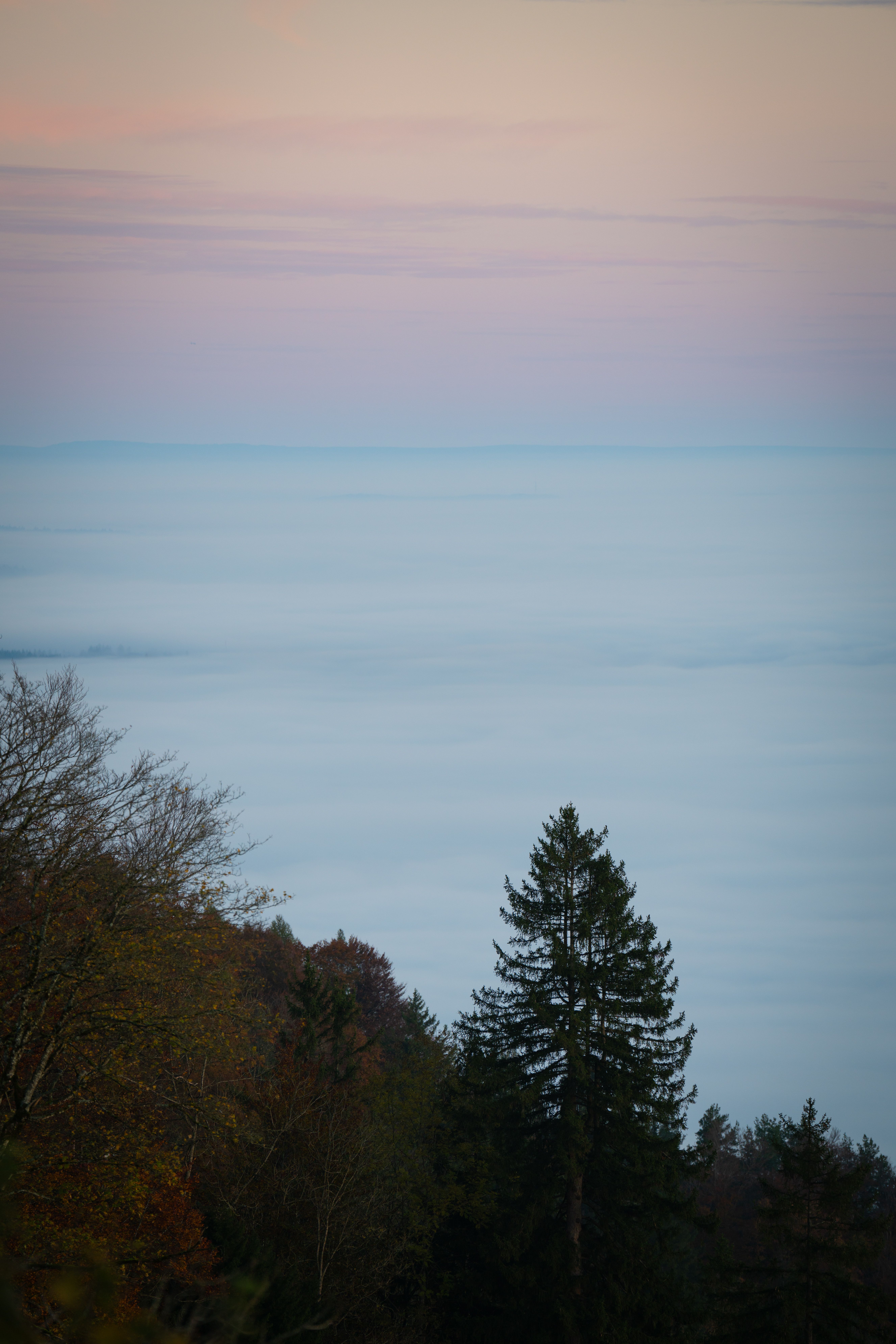 Serene Mountain Landscape at Twilight with Fog · Free Stock Photo