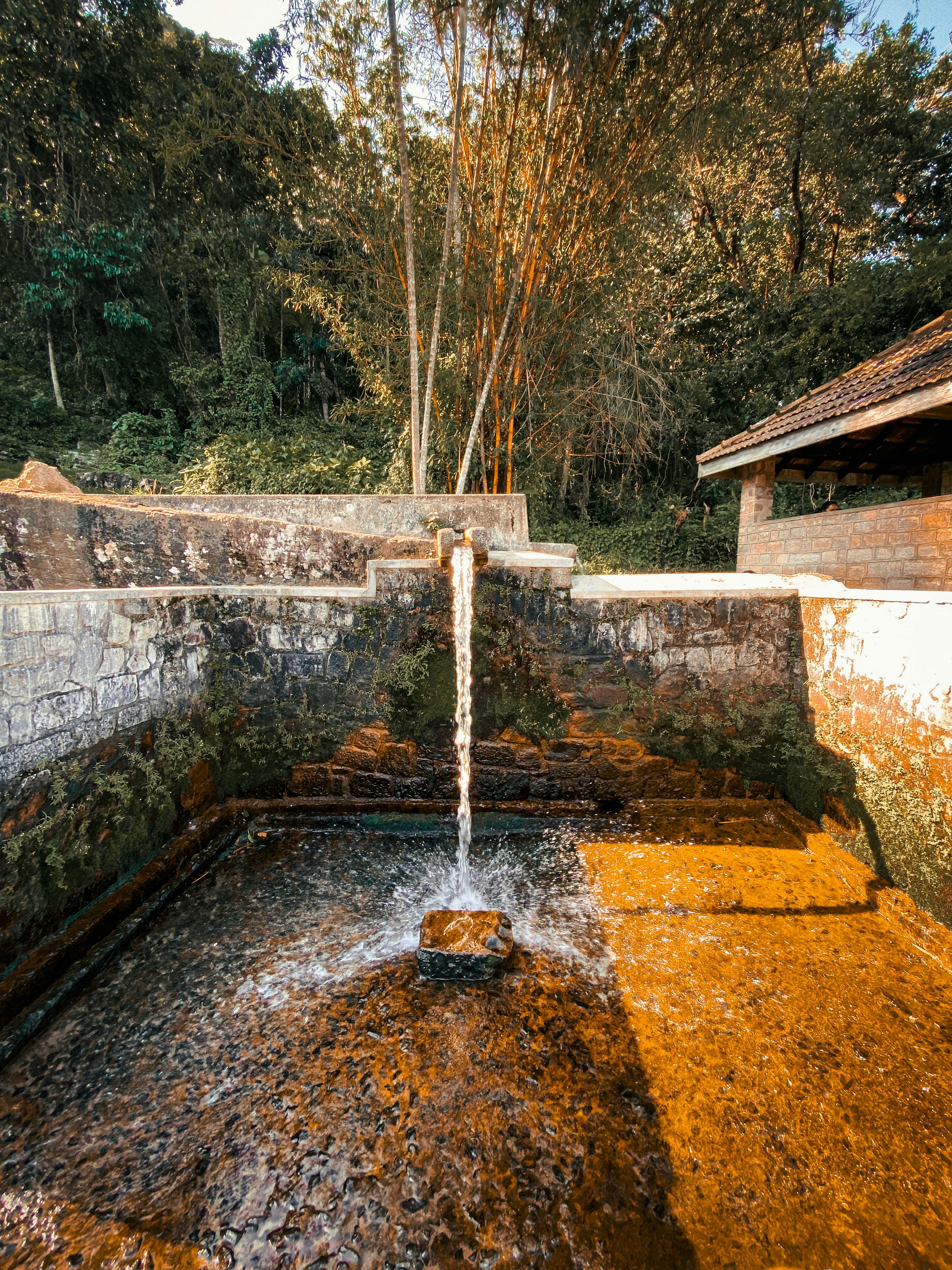 Natural Spring in Kandy Sri Lanka · Free Stock Photo
