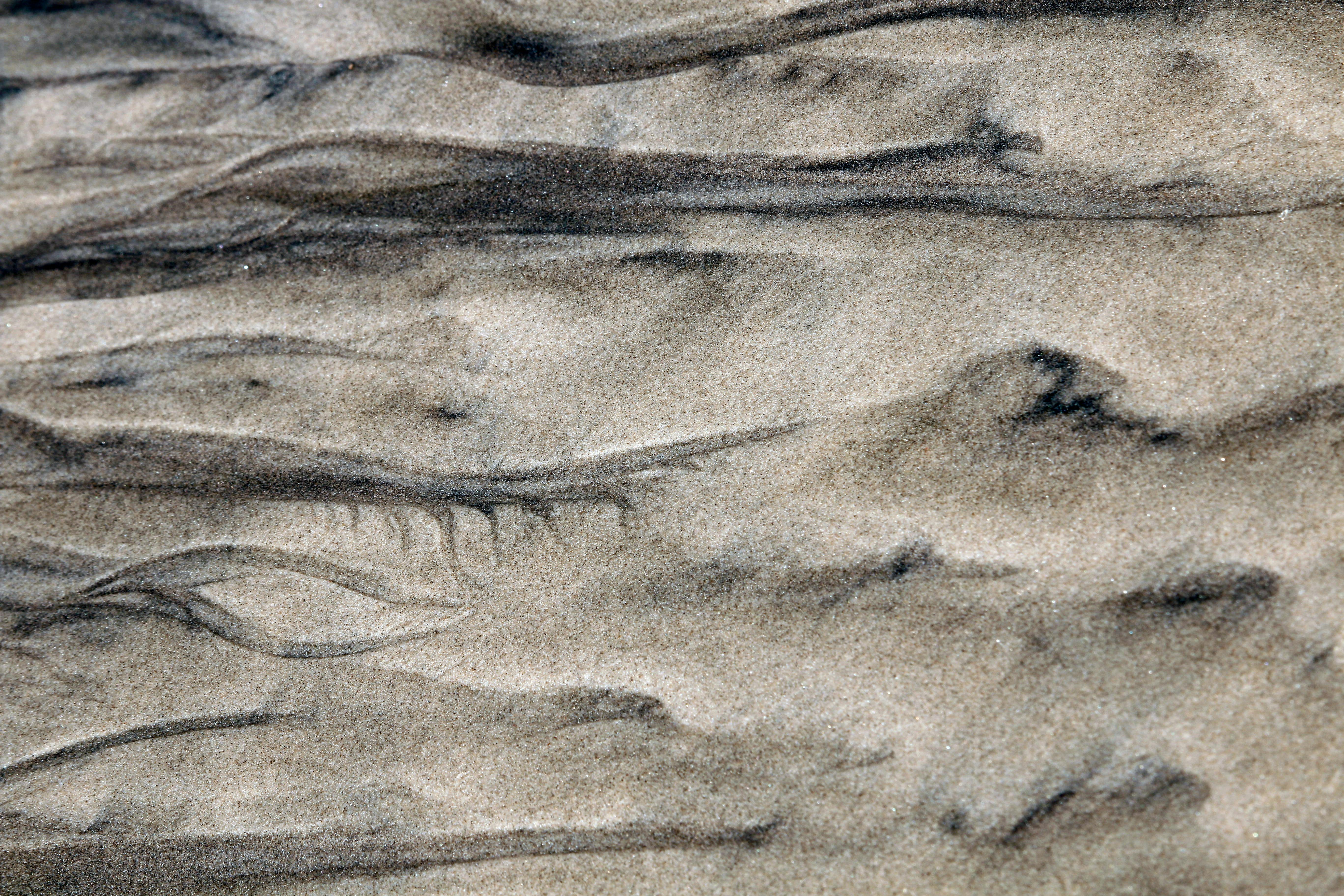 Abstract Sand Patterns on Guaratuba Beach · Free Stock Photo