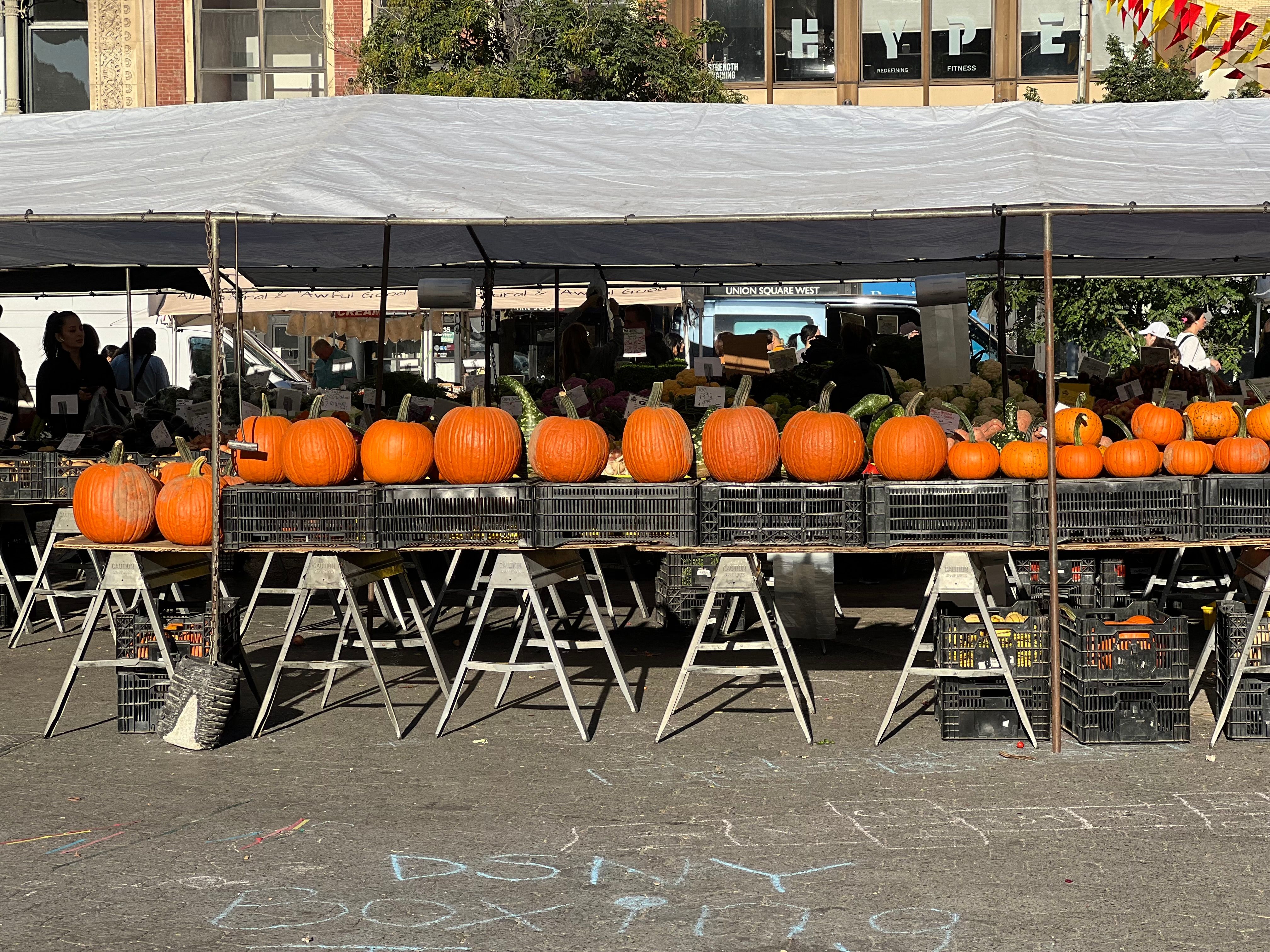 Vibrant Fall Pumpkins at Outdoor Market Stall · Free Stock Photo
