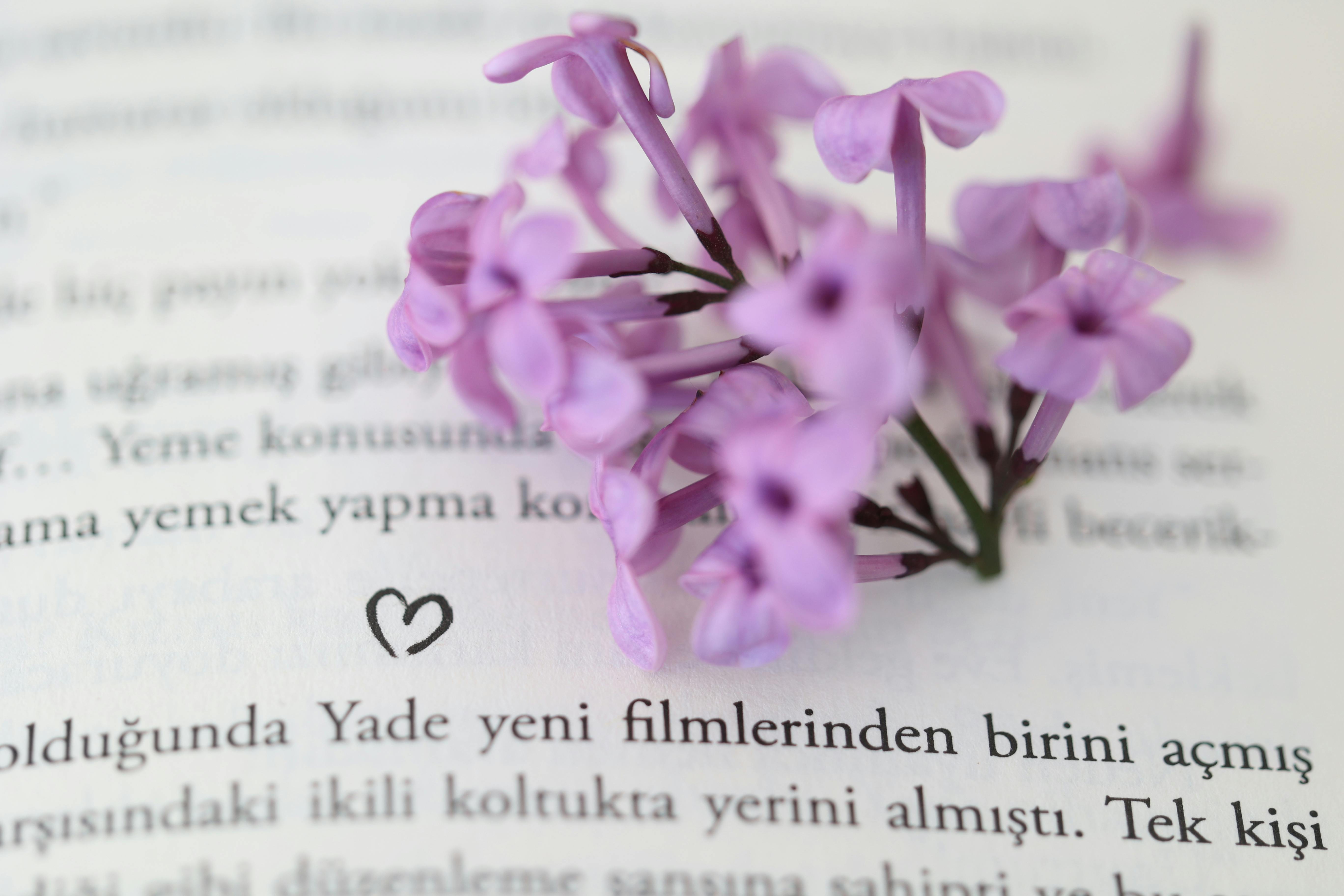 Love Poetry Images Photos, Download The BEST Free Love Poetry Images ...