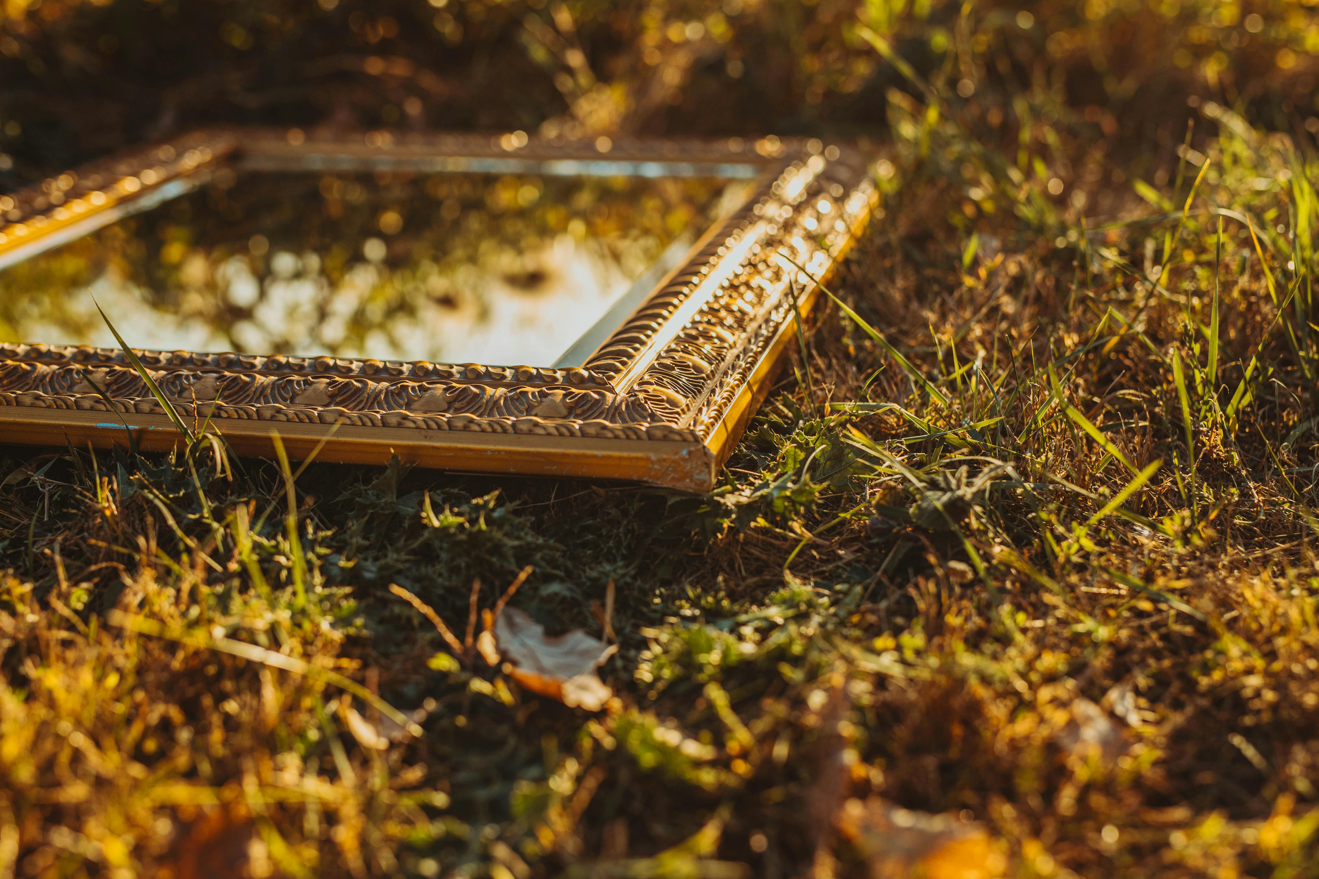 Bootstrap+Image Photos, Download The BEST Free Bootstrap+Image Stock ...