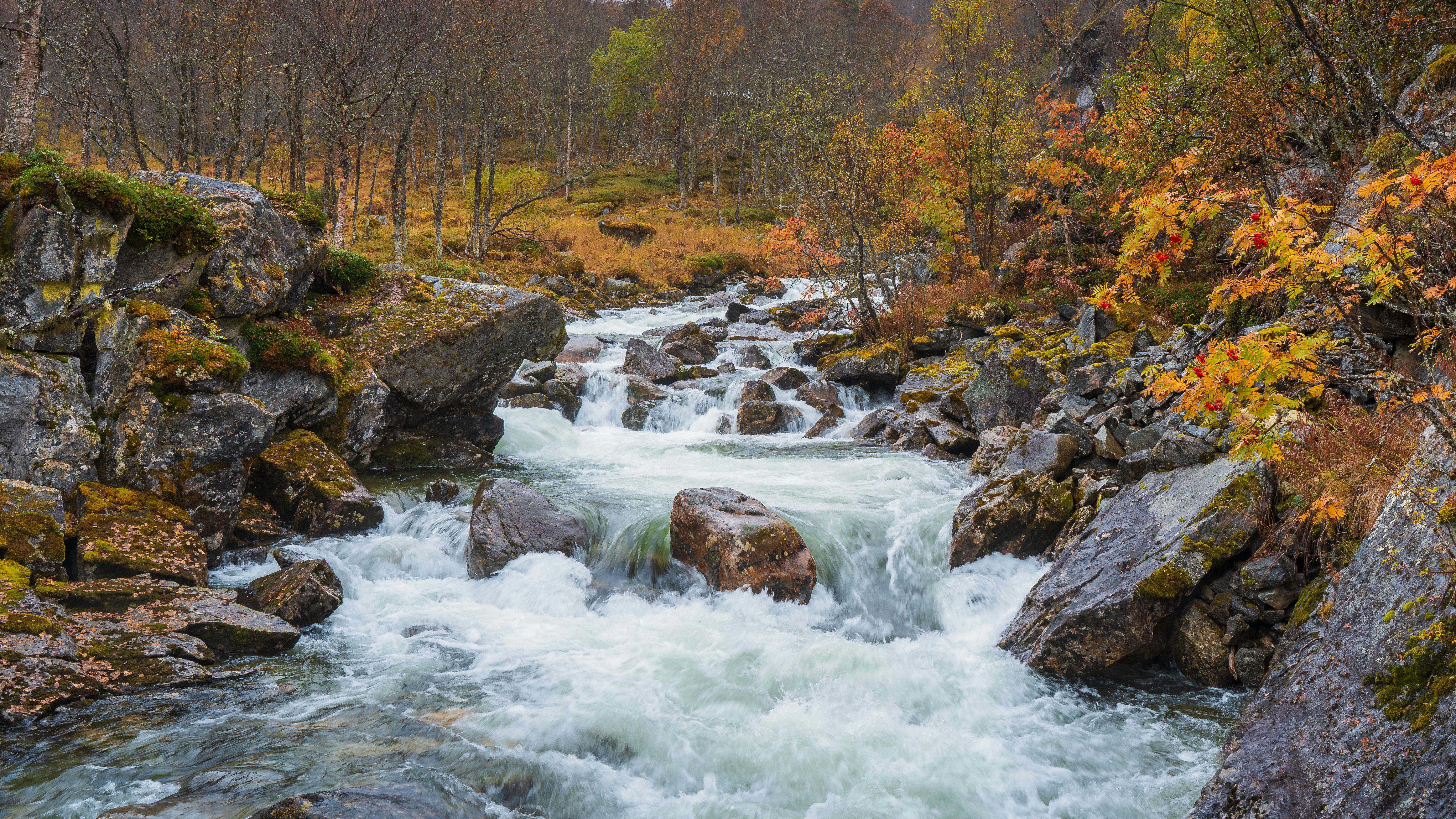 Autumn River with Colorful Foliage and Rocks · Free Stock Photo