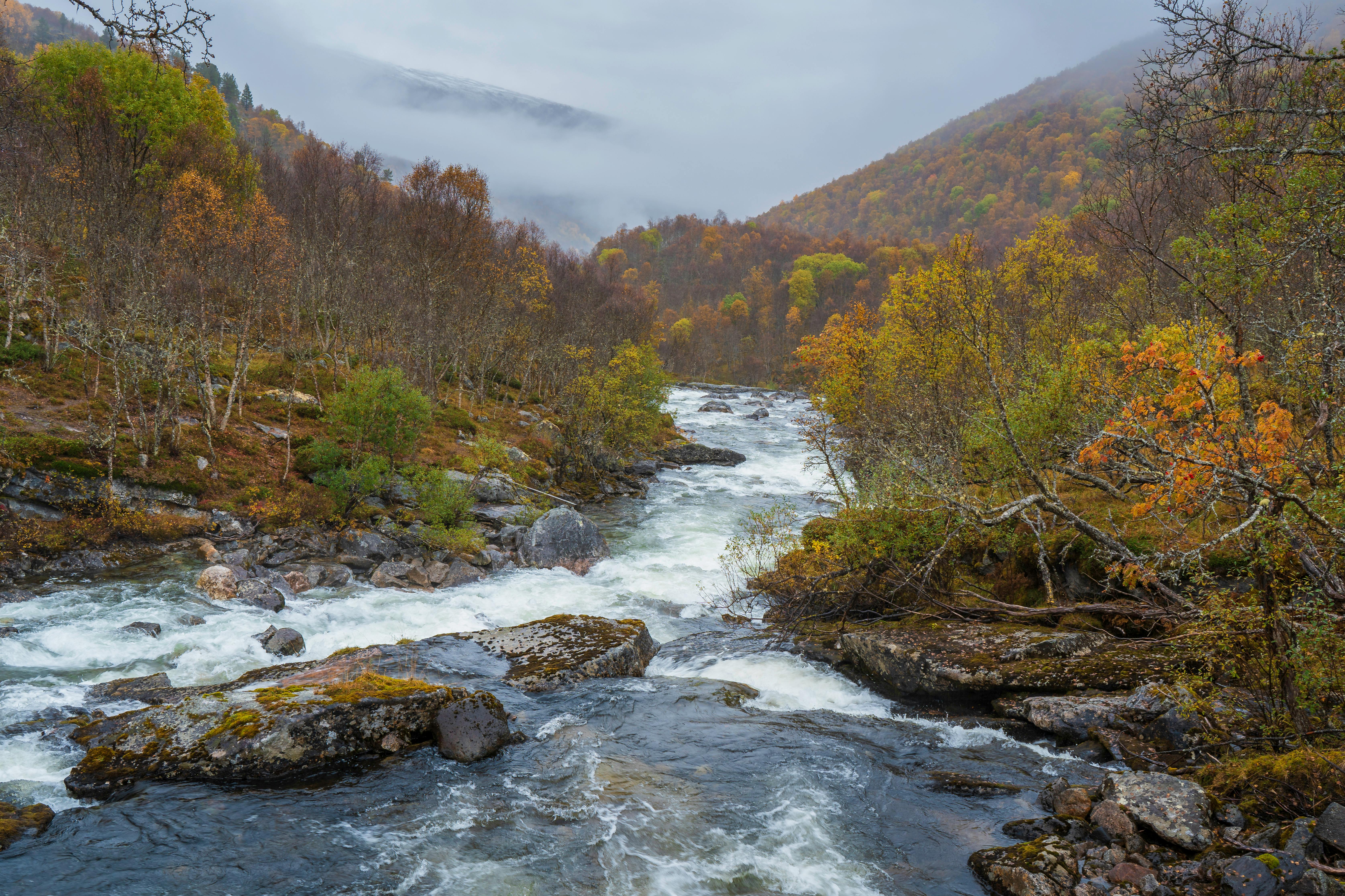 Stunning Autumn River Scene with Vibrant Foliage · Free Stock Photo