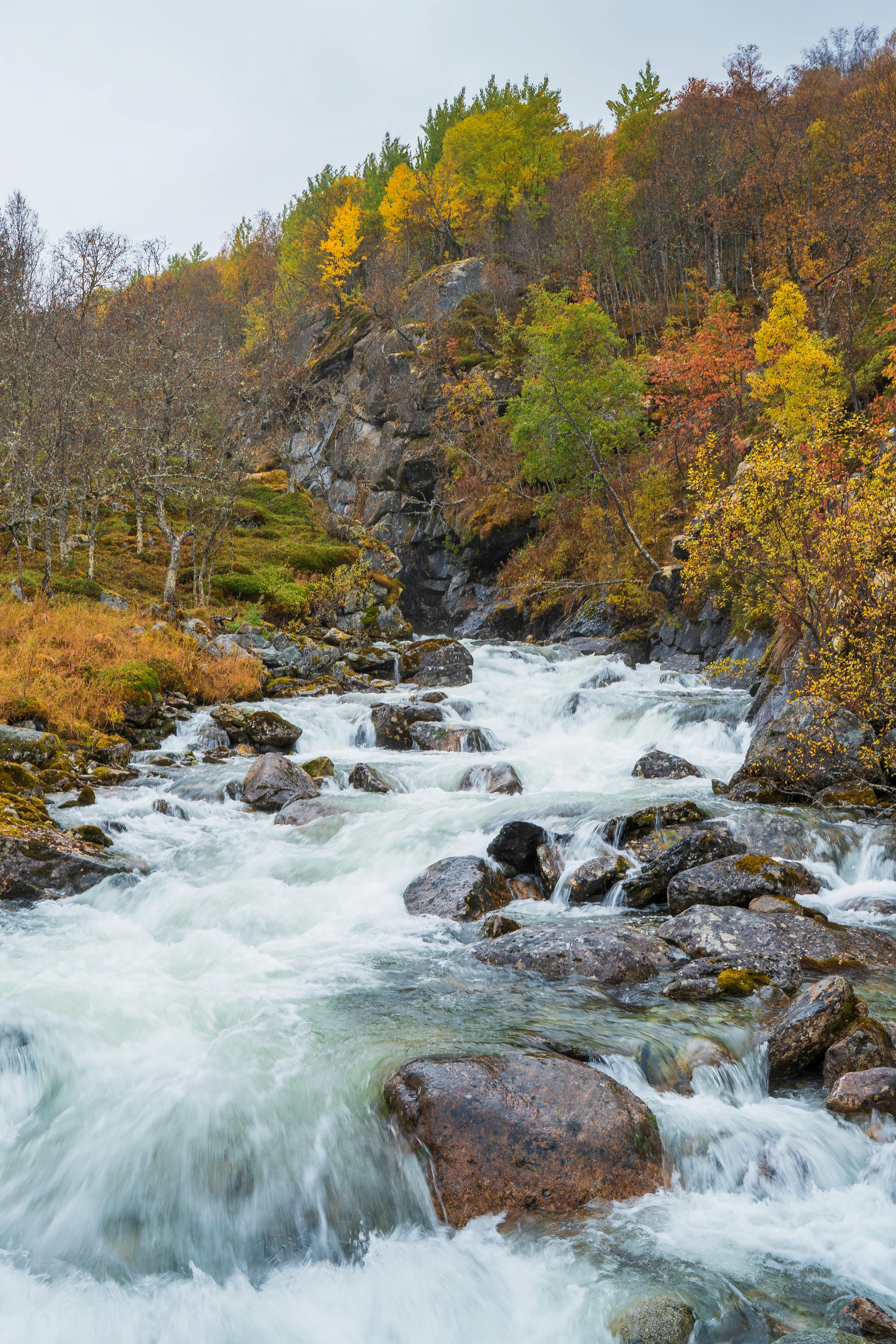 River Flow Hd Photos, Download The BEST Free River Flow Hd Stock Photos ...
