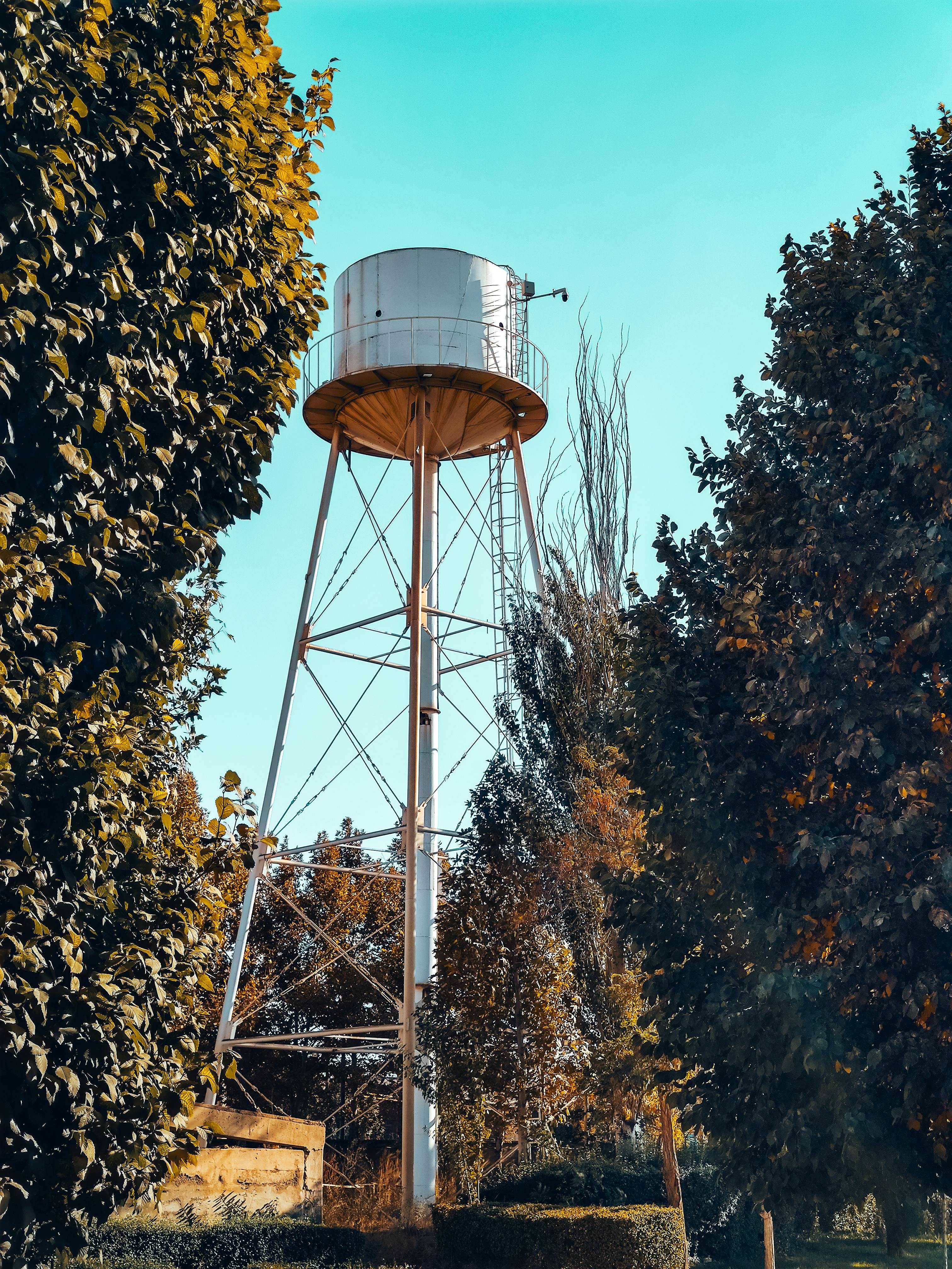 Rustic Water Tower Amidst Verdant Trees · Free Stock Photo