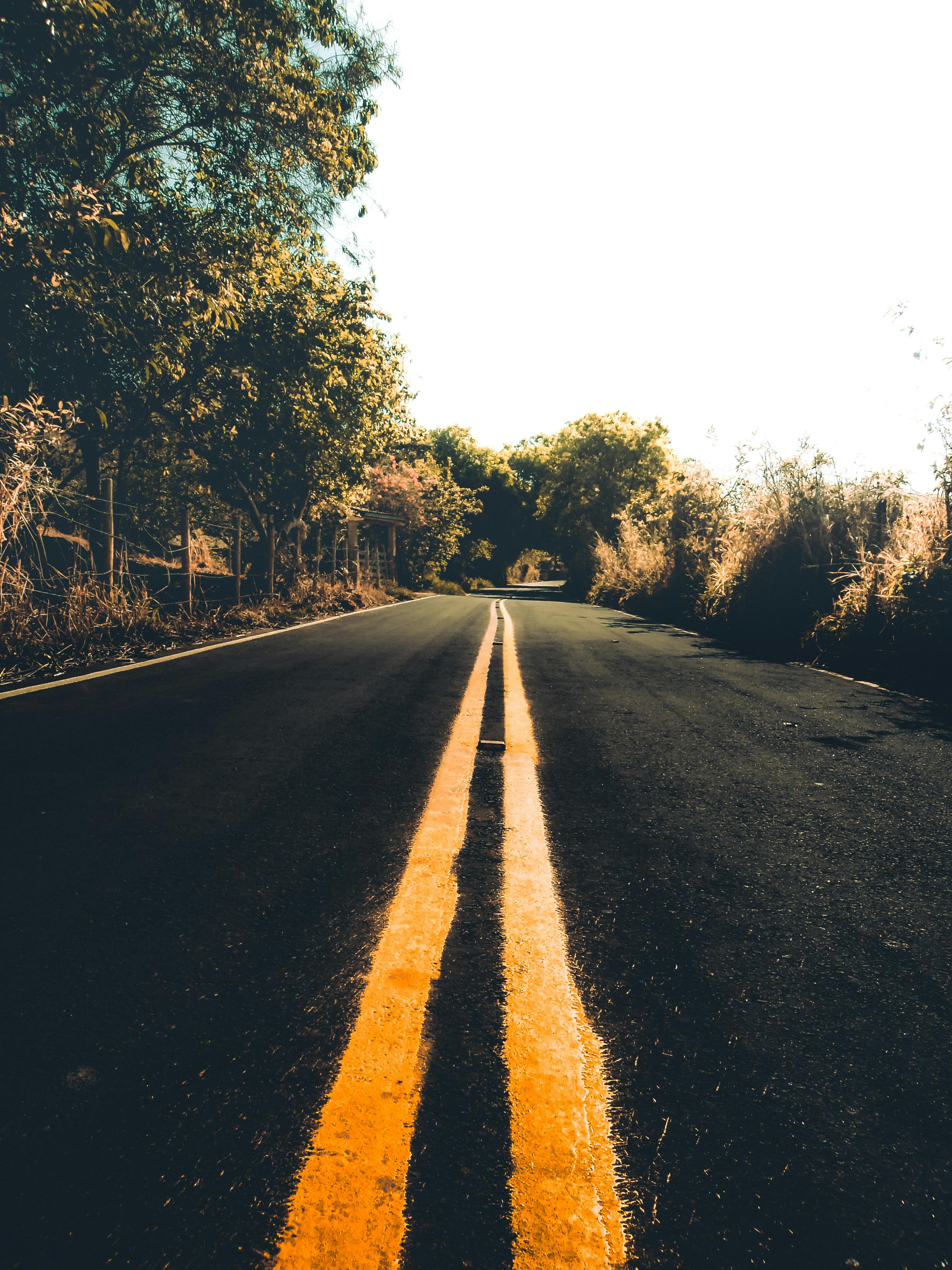 Lonely Road through Sunlit Forest Pathway · Free Stock Photo