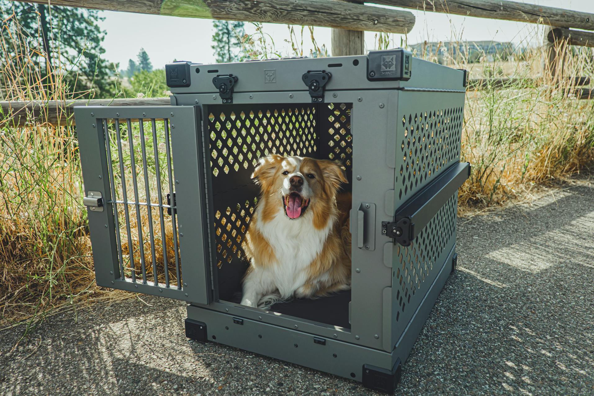 Effective Crate Training Schedule by Age for Dogs