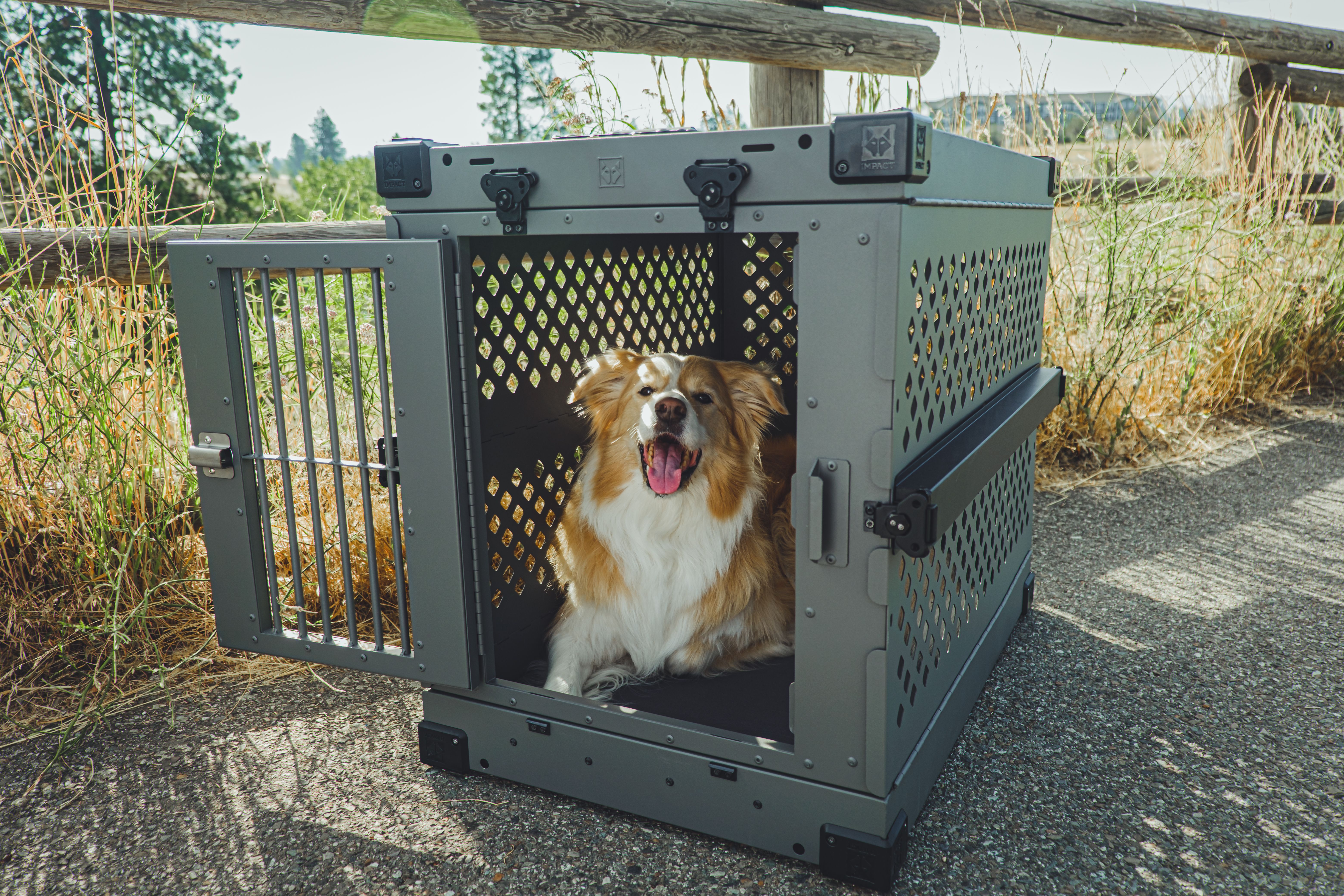 Happy Australian Shepherd in Durable Outdoor Dog Crate · Free Stock Photo