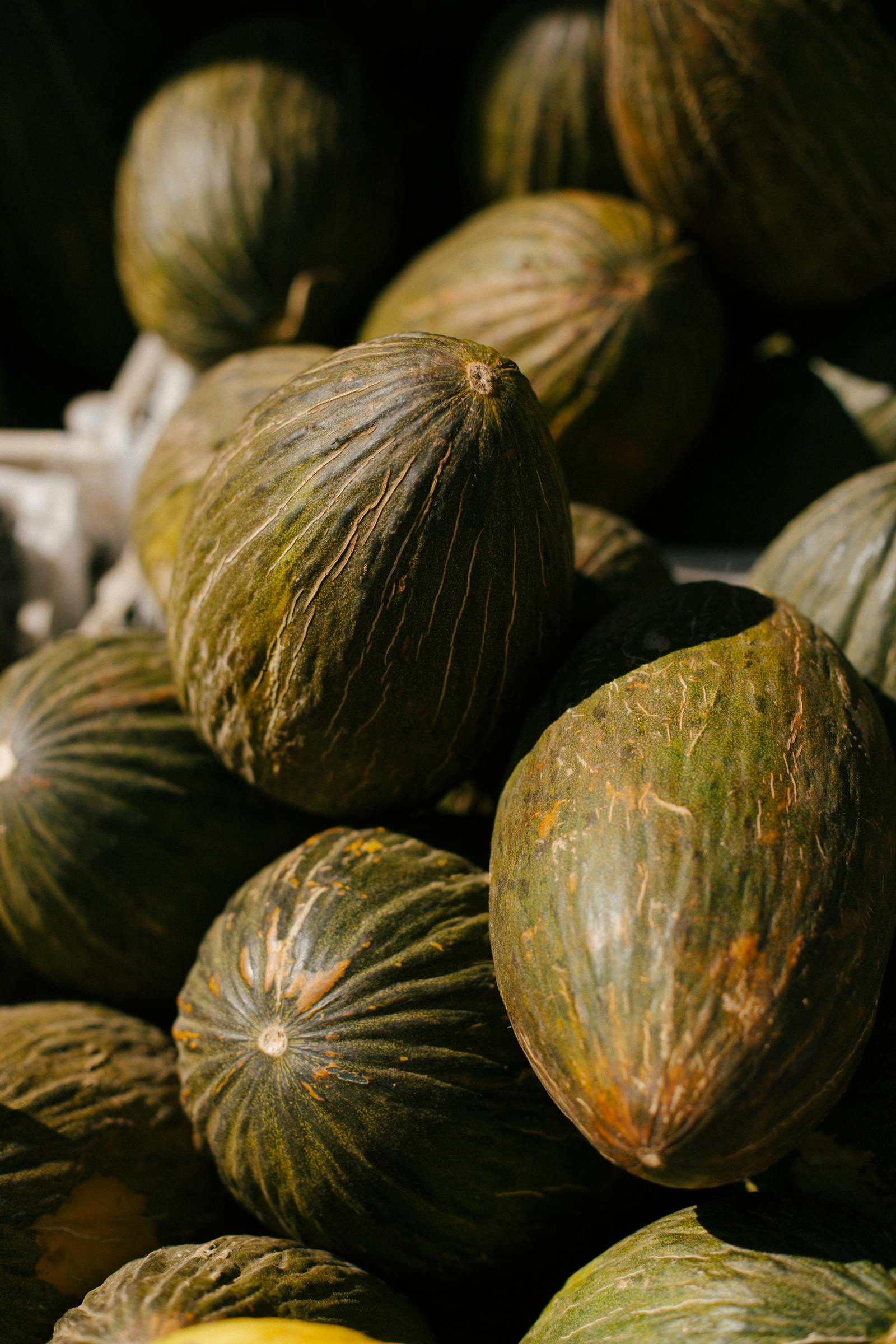 Watermelon Texture Photos, Download The BEST Free Watermelon Texture ...