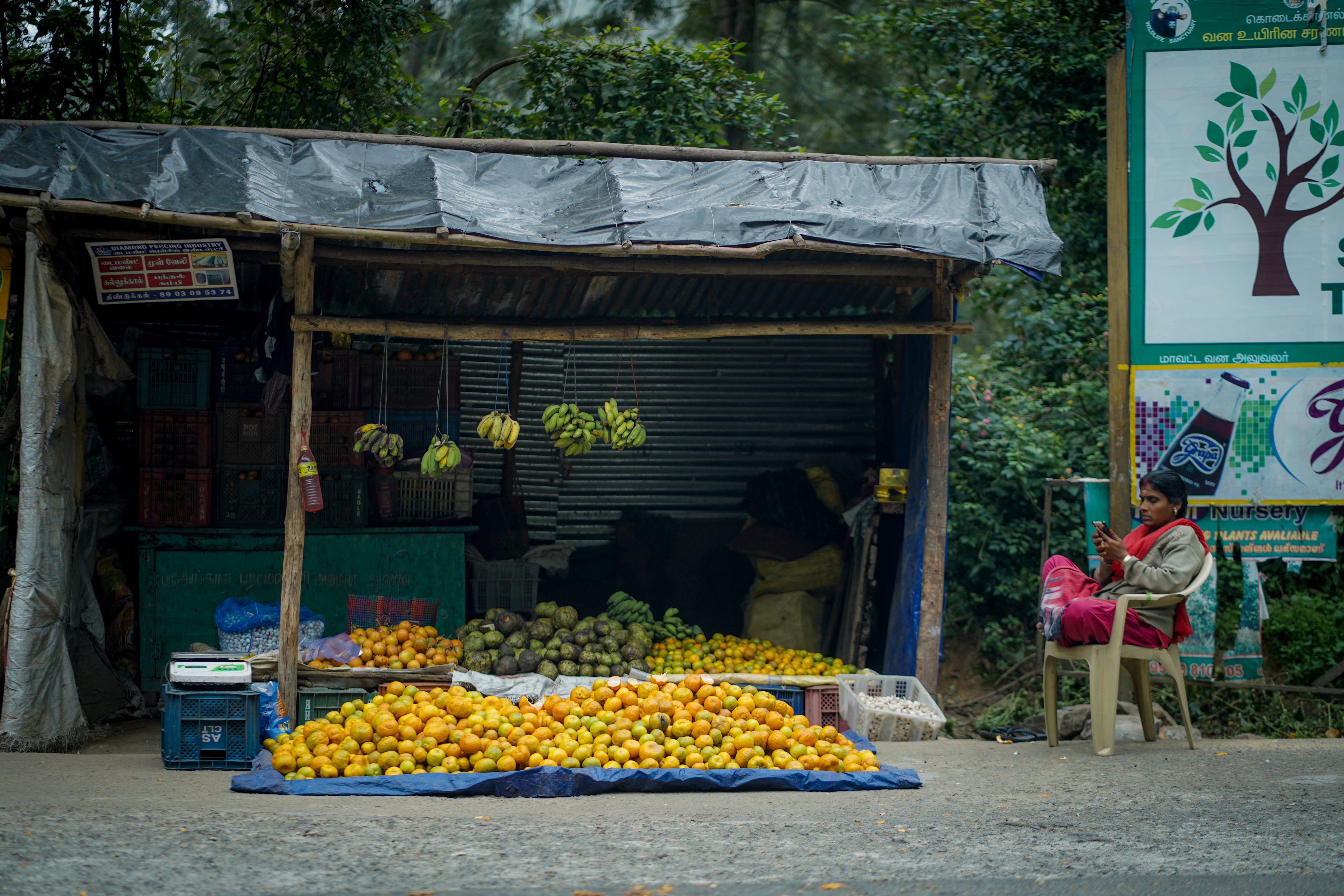 Rustic Roadside Fruit Stand Outdoor Display · Free Stock Photo