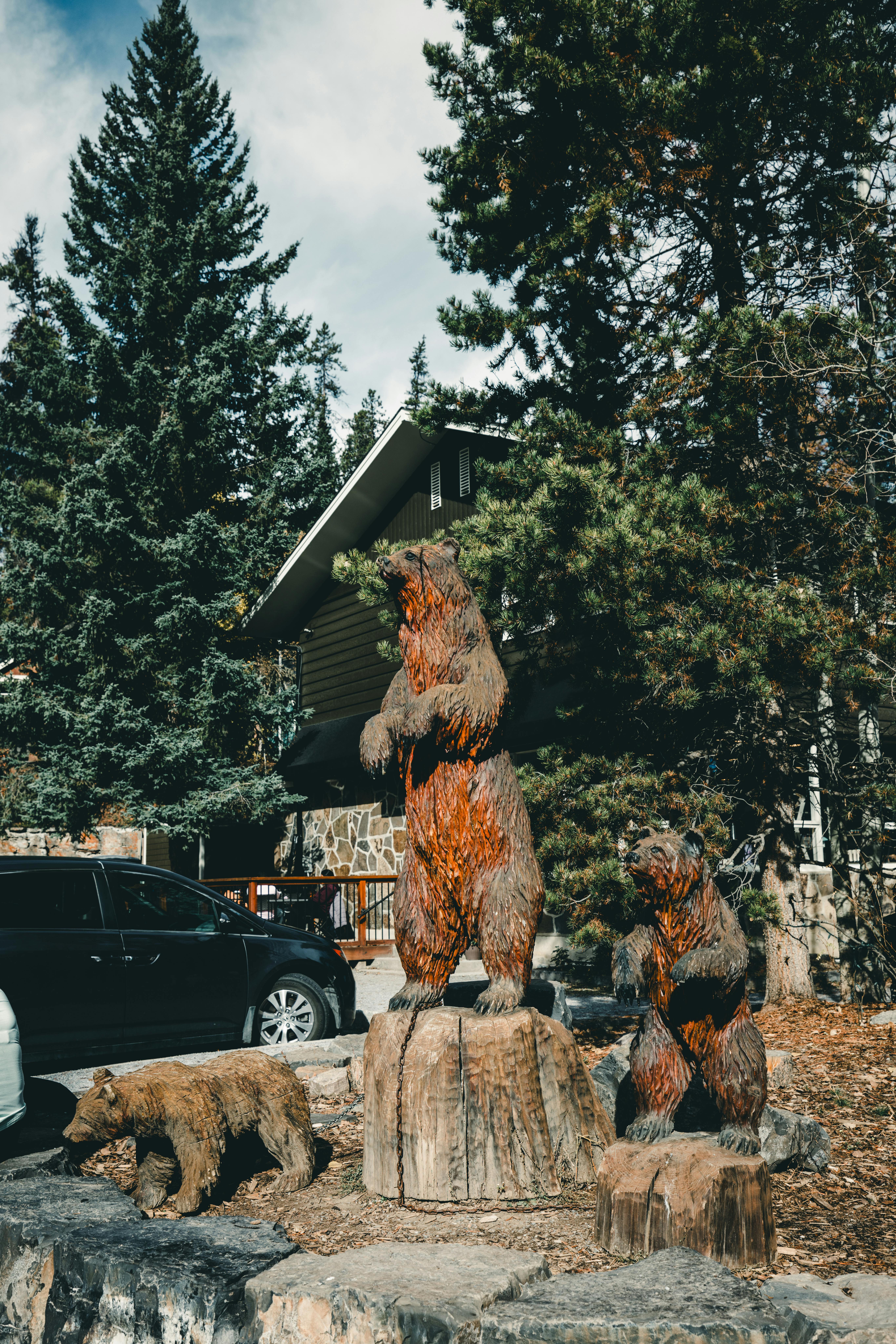 Bear Sculptures in Forested Banff Lodge Setting · Free Stock Photo