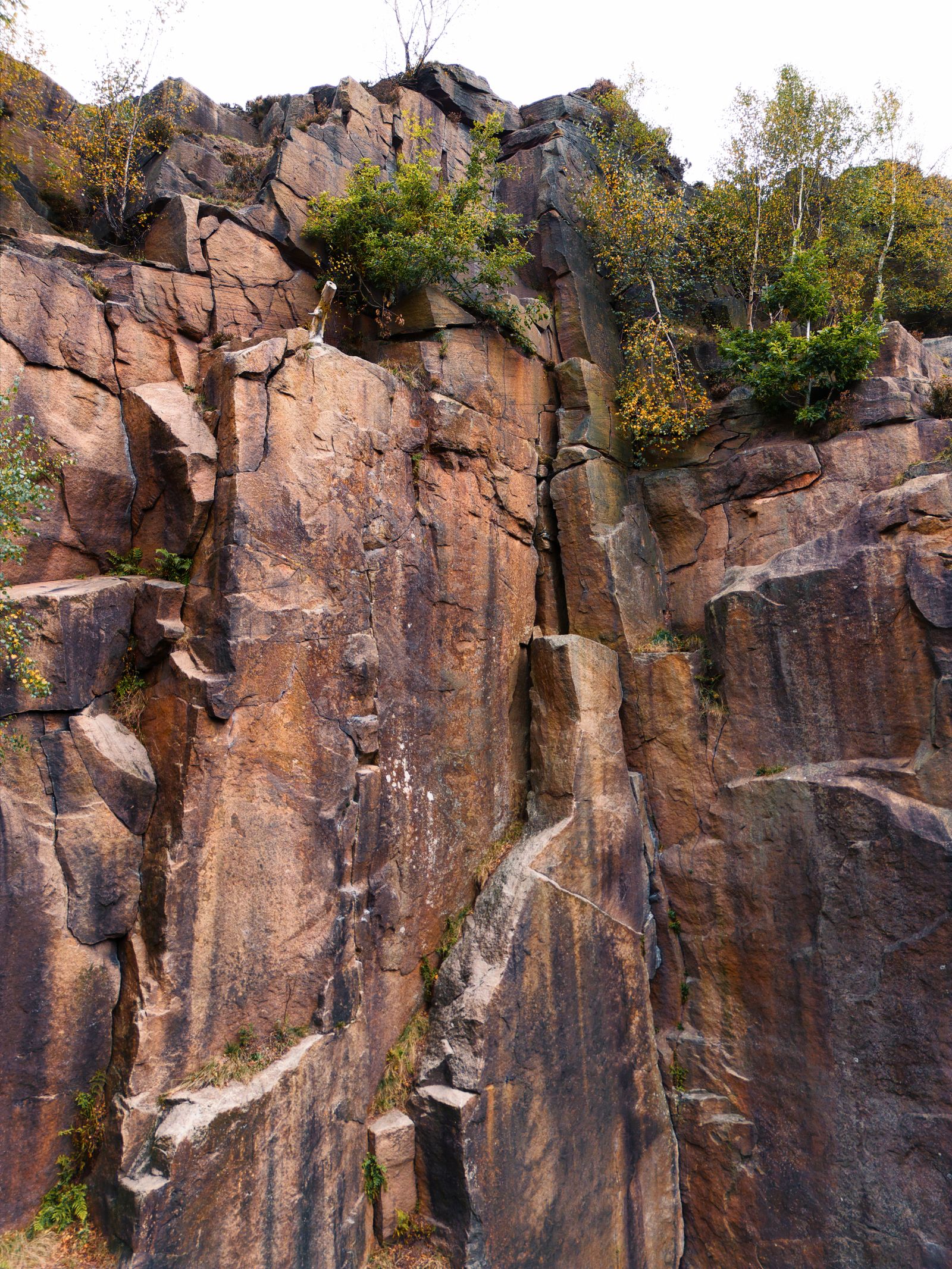 Cliff Face Photos, Download The BEST Free Cliff Face Stock Photos & HD ...