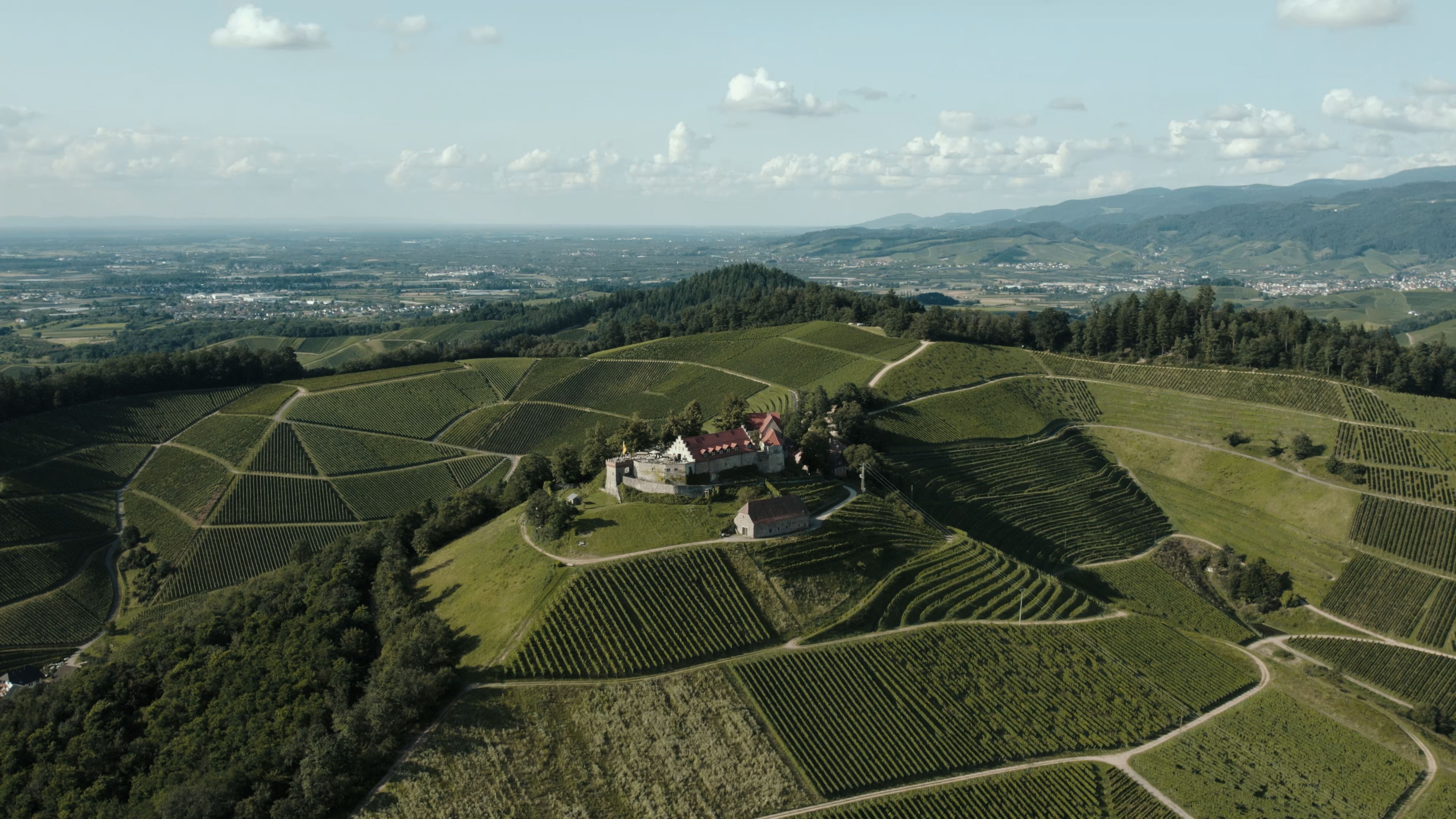 Aerial View of Schloss Staufenberg Vineyards · Free Stock Photo