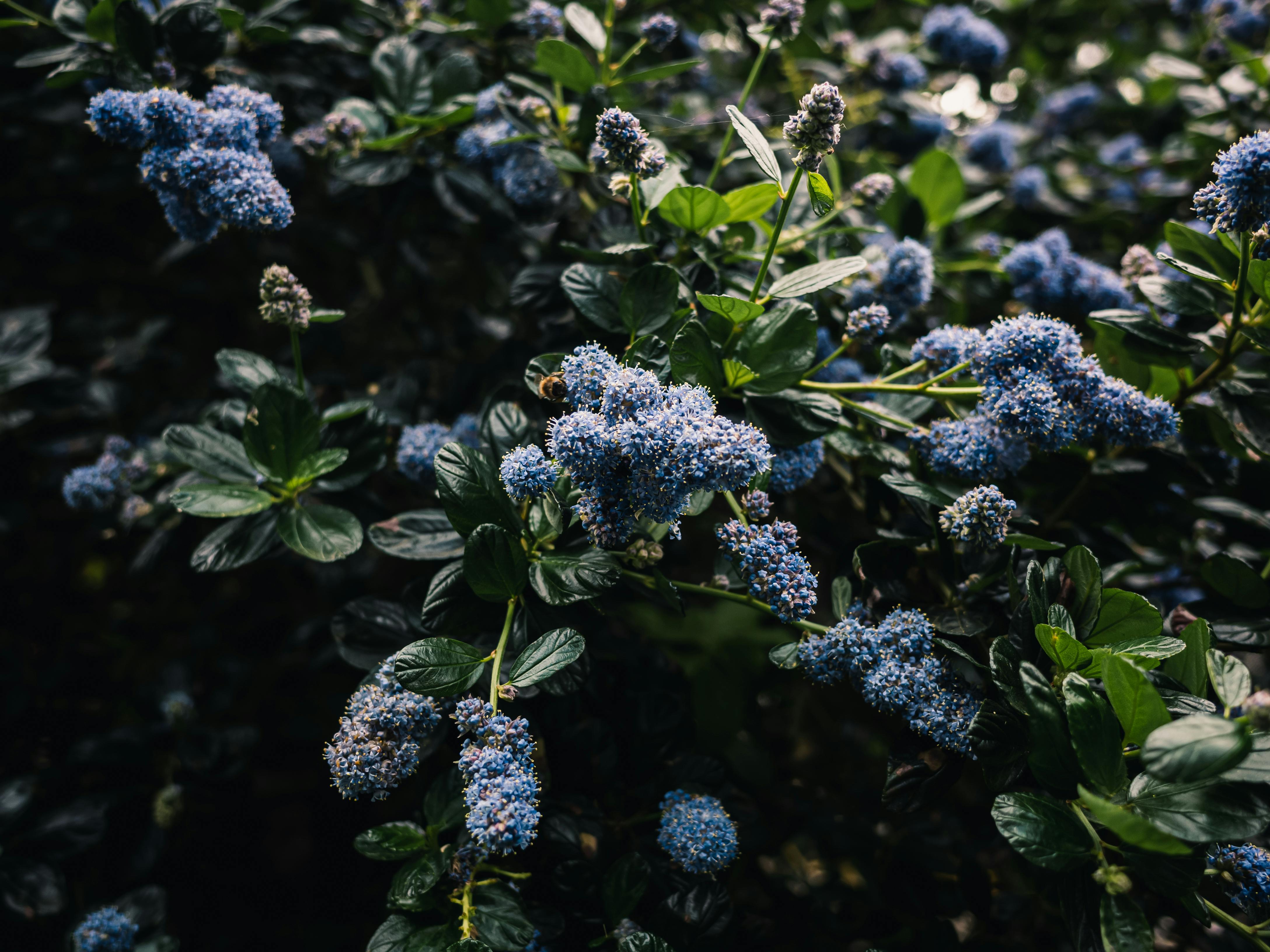 700+张最精彩的“Pleased+in”图片 · 100%免费下载 · Pexels素材图片