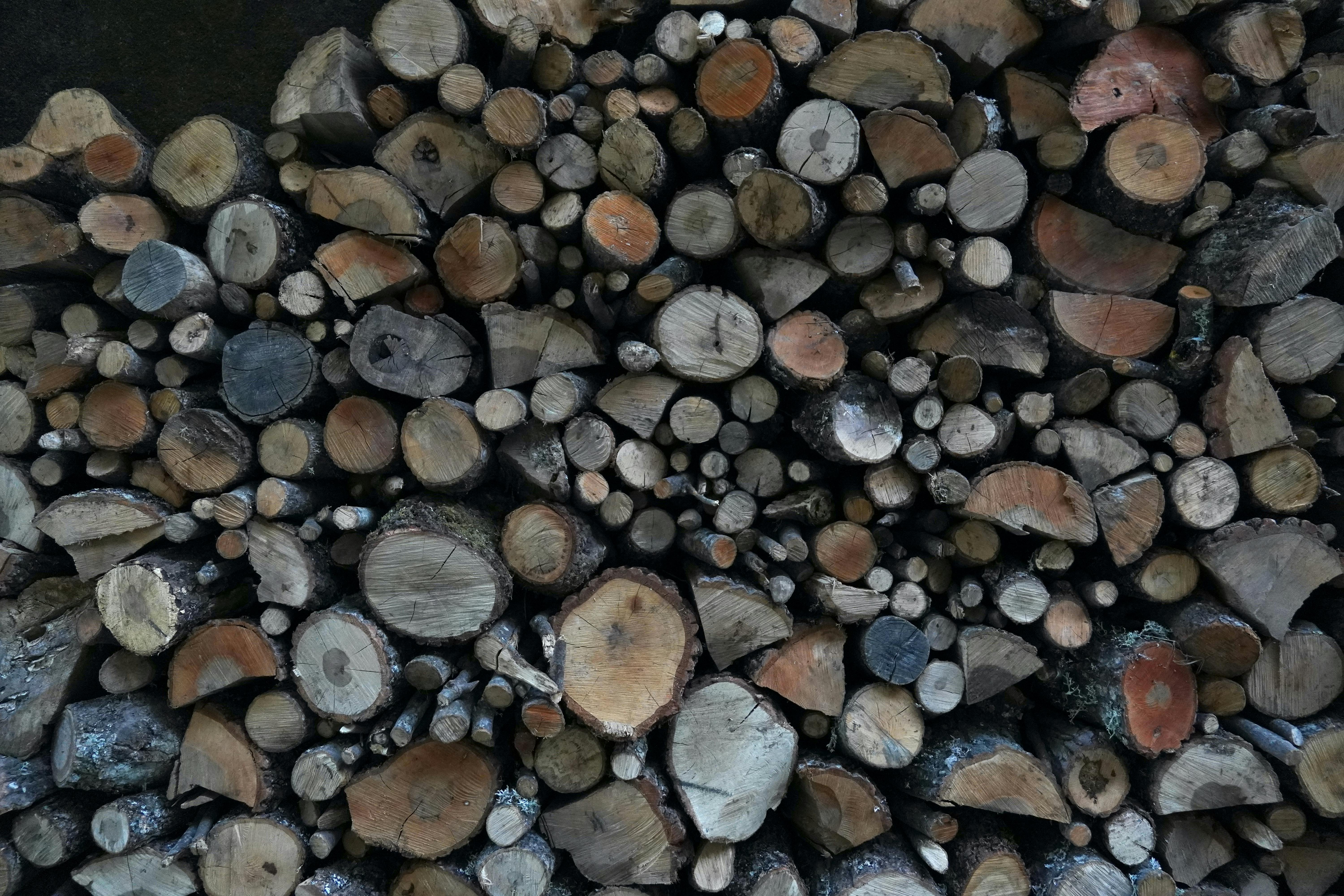 Disc Herniation In Lumber Supine Photos, Download The BEST Free Disc ...