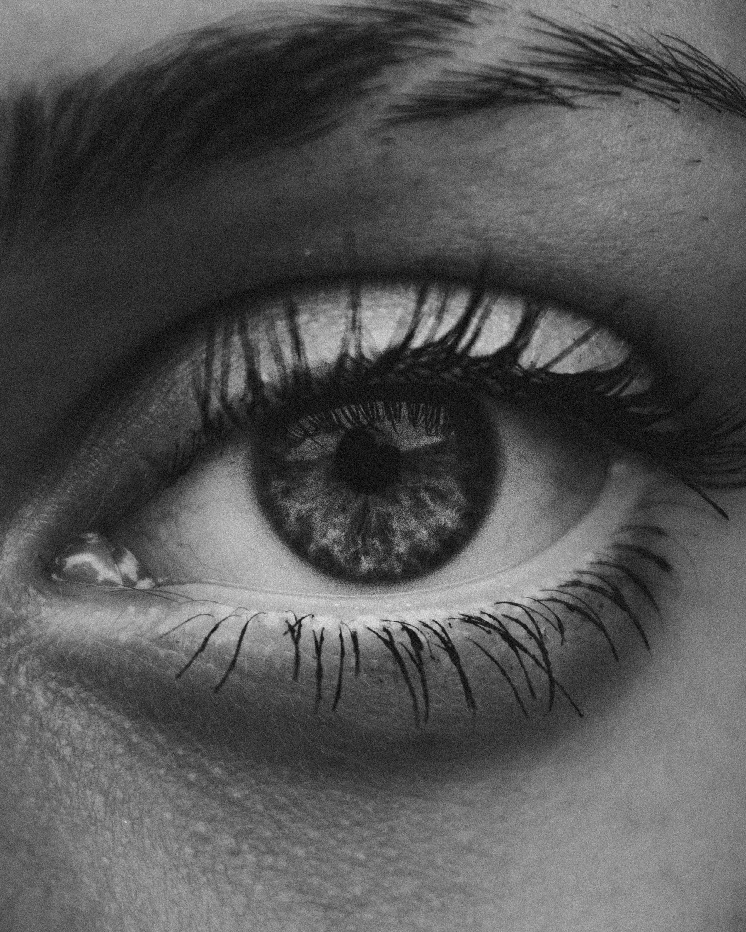 Intense Close-up of a Human Eye in Black and White · Free Stock Photo