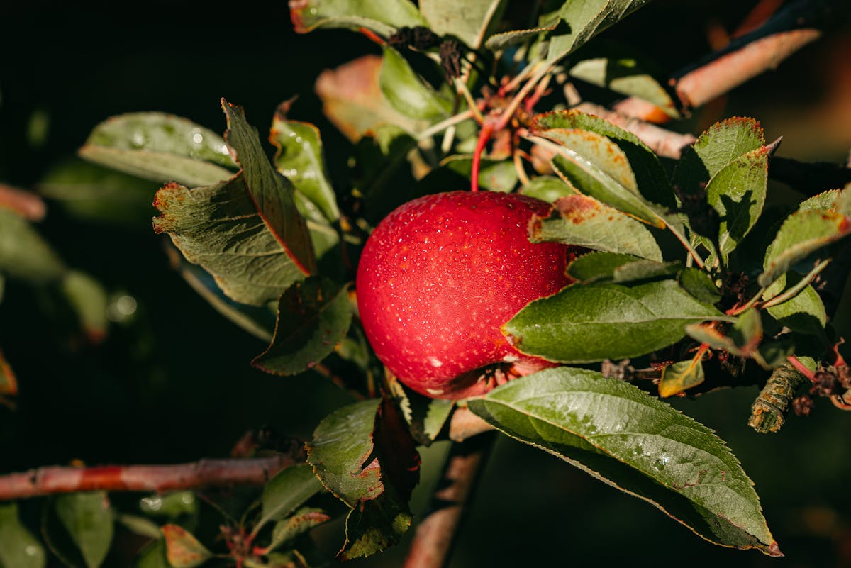 Free Non Copyrighted Halloween Photos, Download The BEST Free Free Non ...