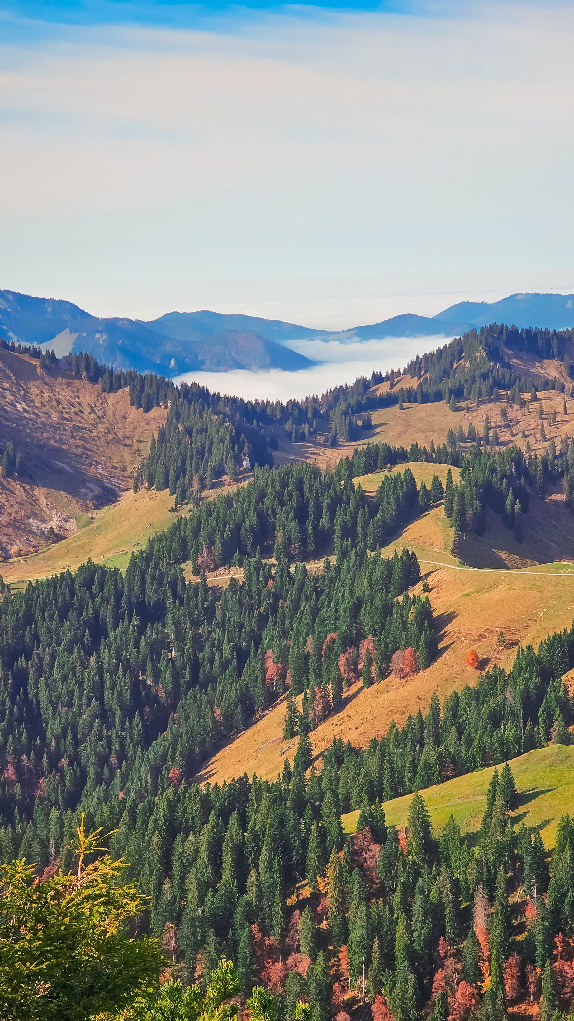 Stunning Mountain Landscape with Forested Valleys · Free Stock Photo