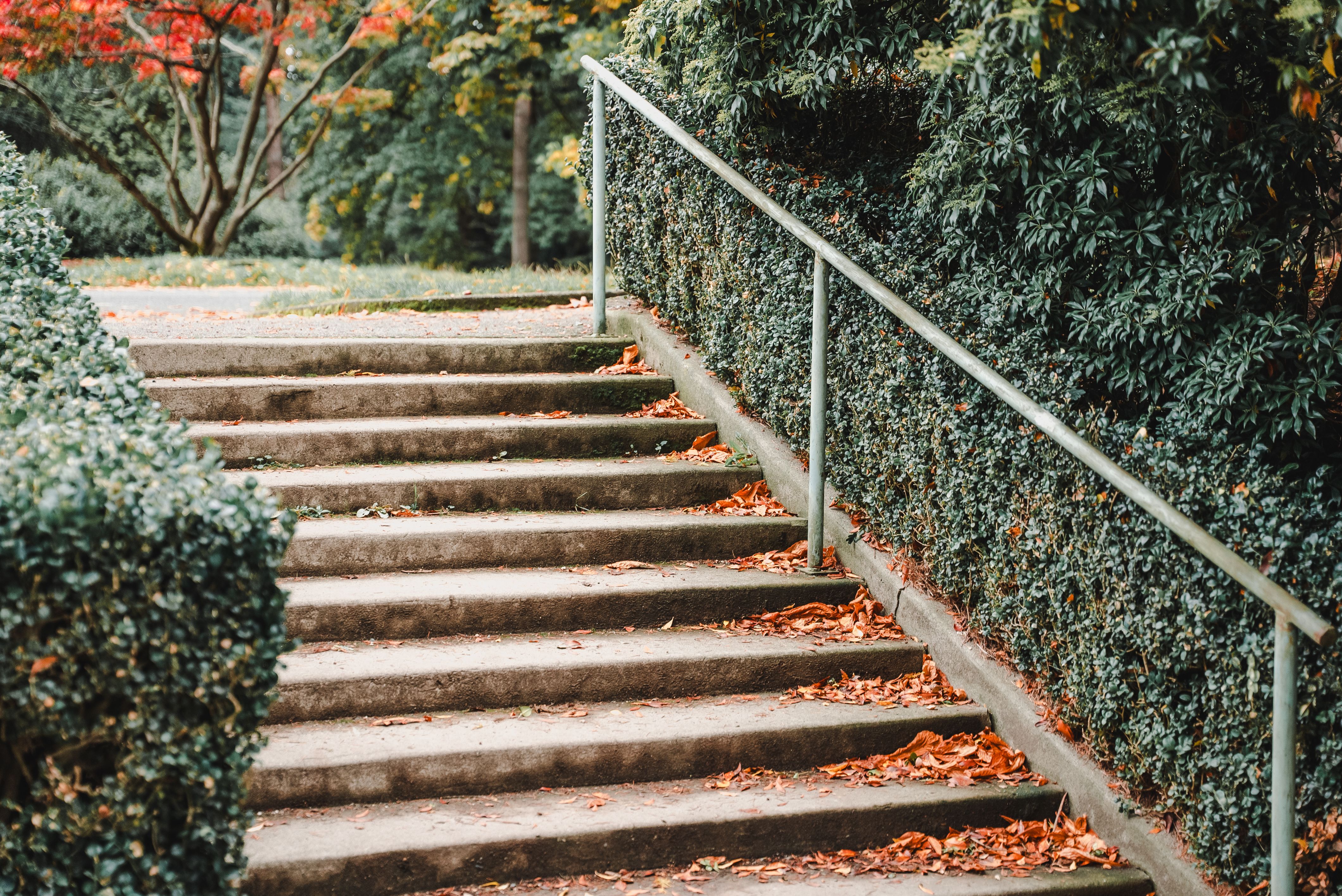 Autumn Staircase in Seattle's Serene Park Setting · Free Stock Photo