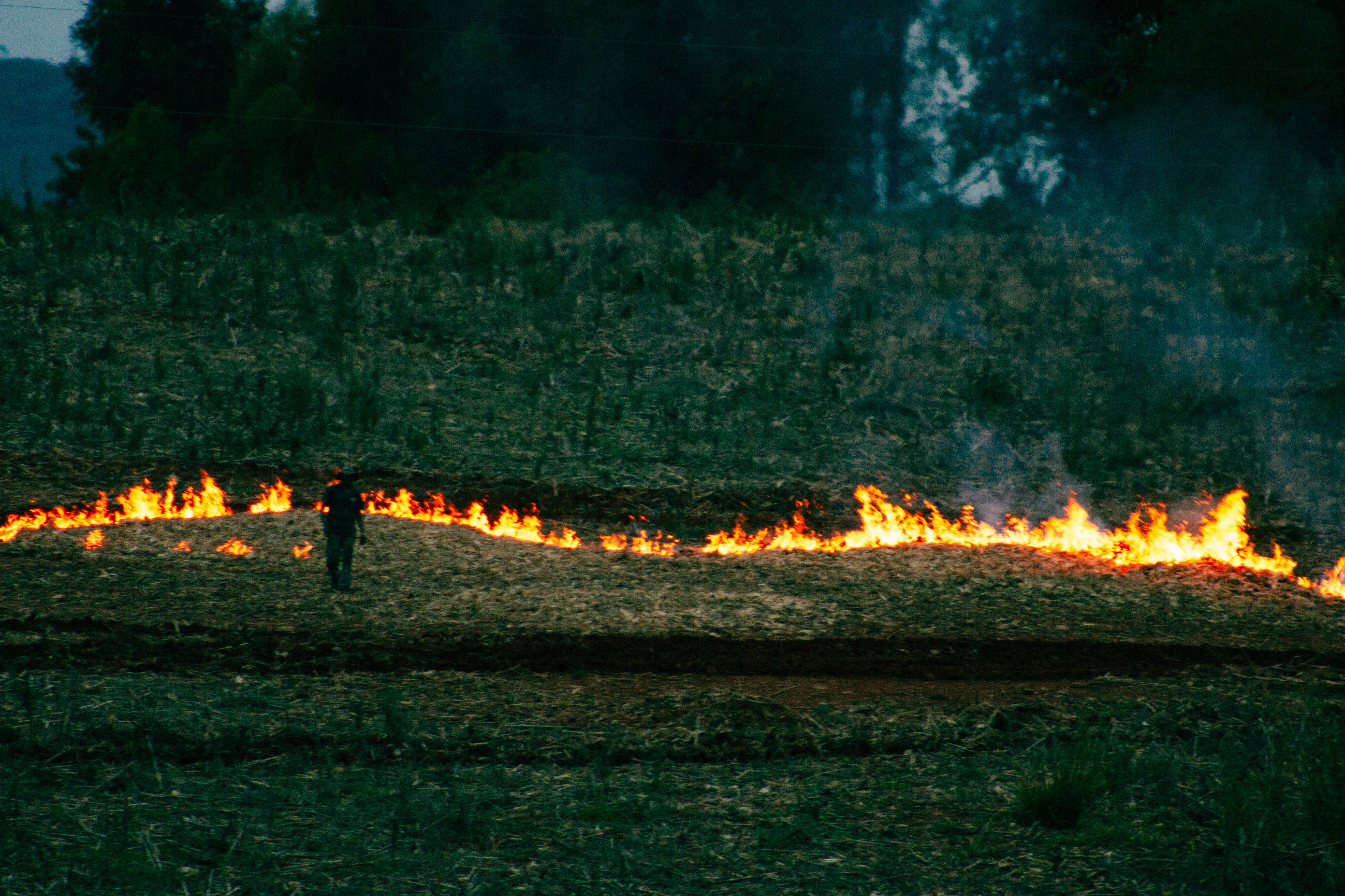 Controlled Fire Burning in Agricultural Field · Free Stock Photo