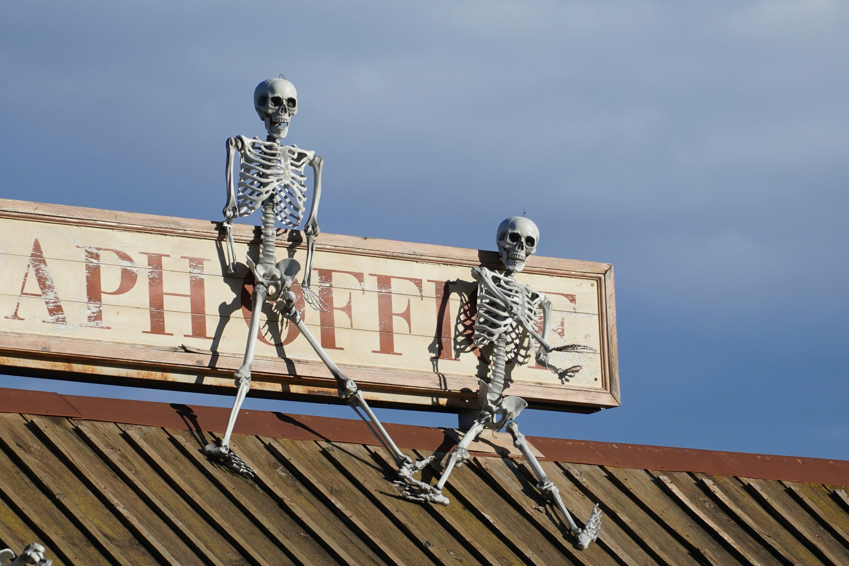Two skeletons on rooftop against blue sky · Free Stock Photo