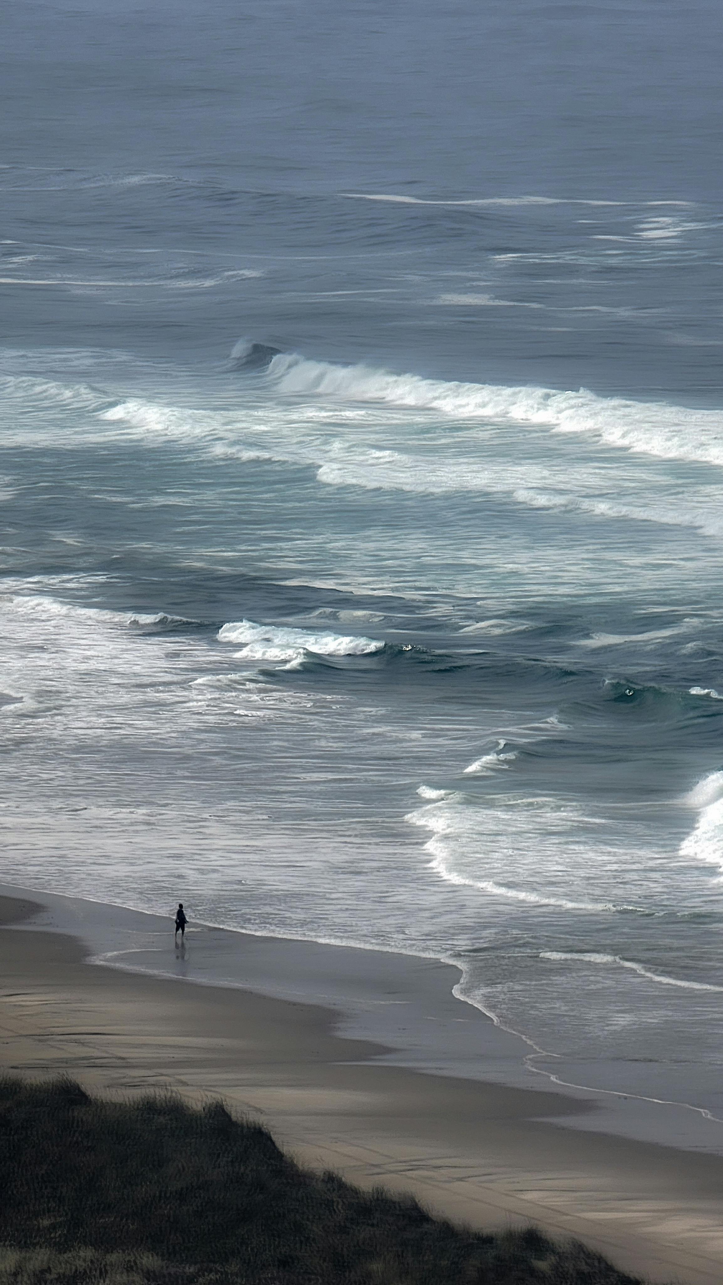 Solitude on Remote Ocean Shoreline · Free Stock Photo