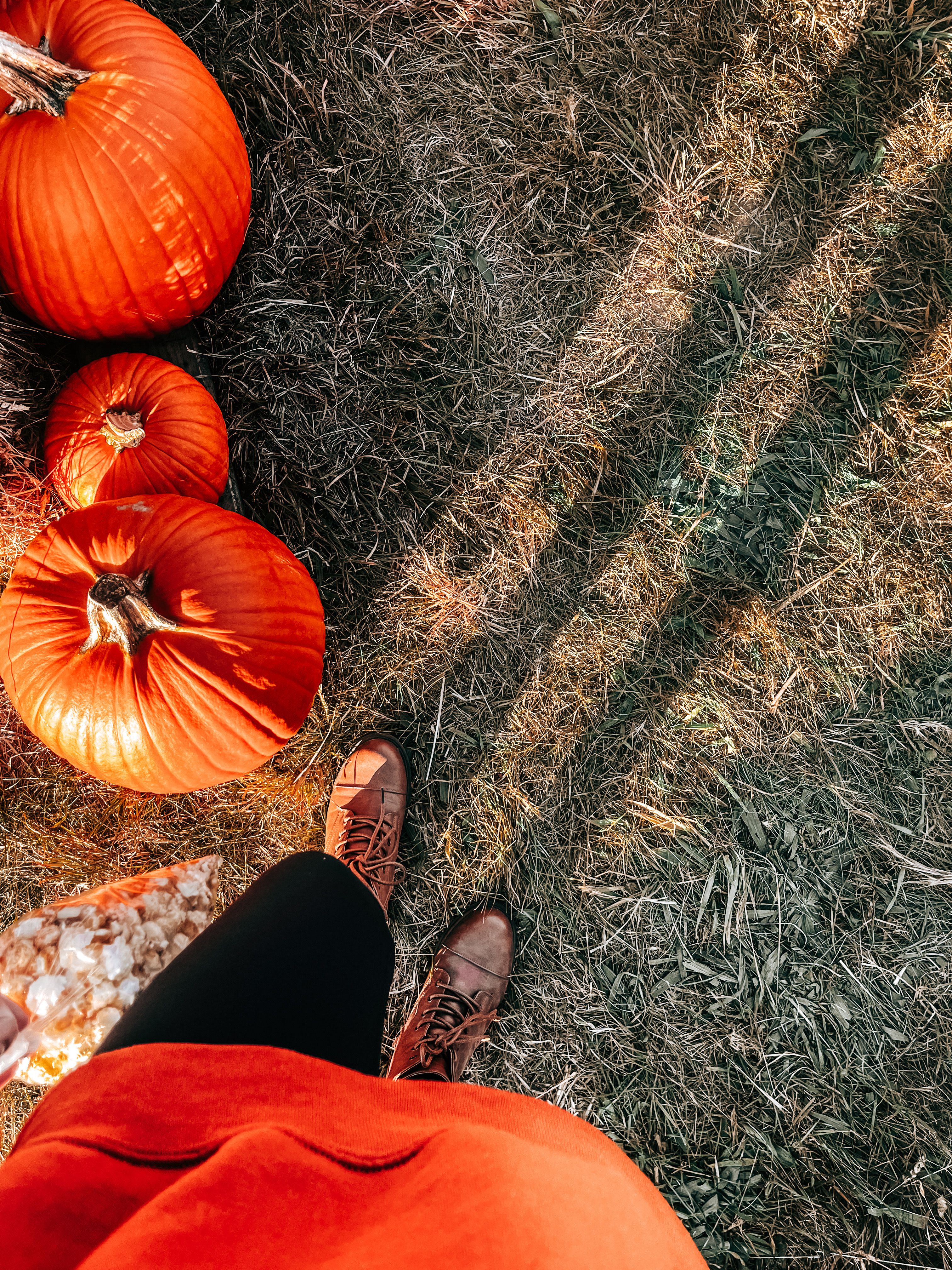Overhead View of Pumpkins and Person in Autumn Field · Free Stock Photo