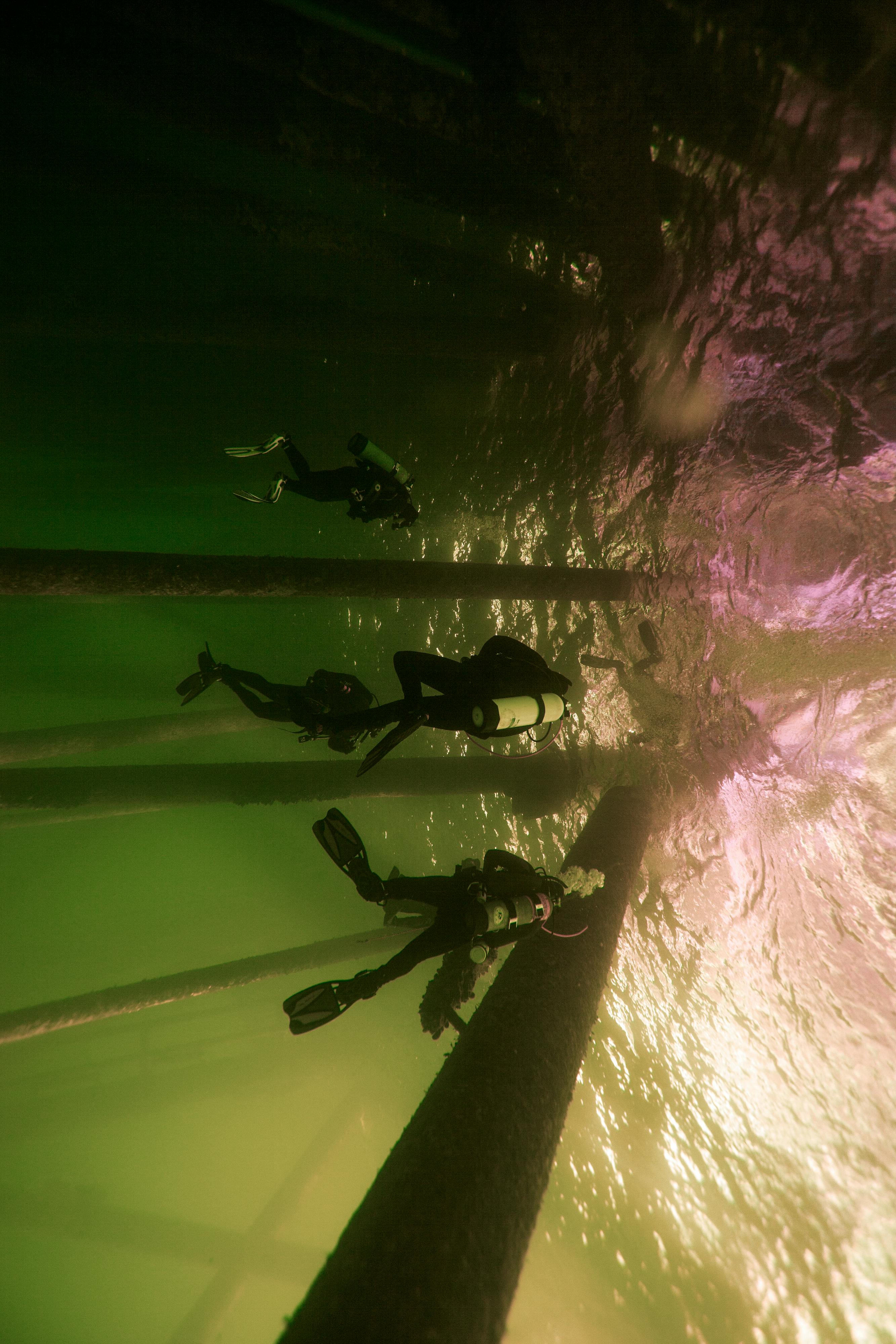Underwater Divers Exploring Submerged Structures · Free Stock Photo